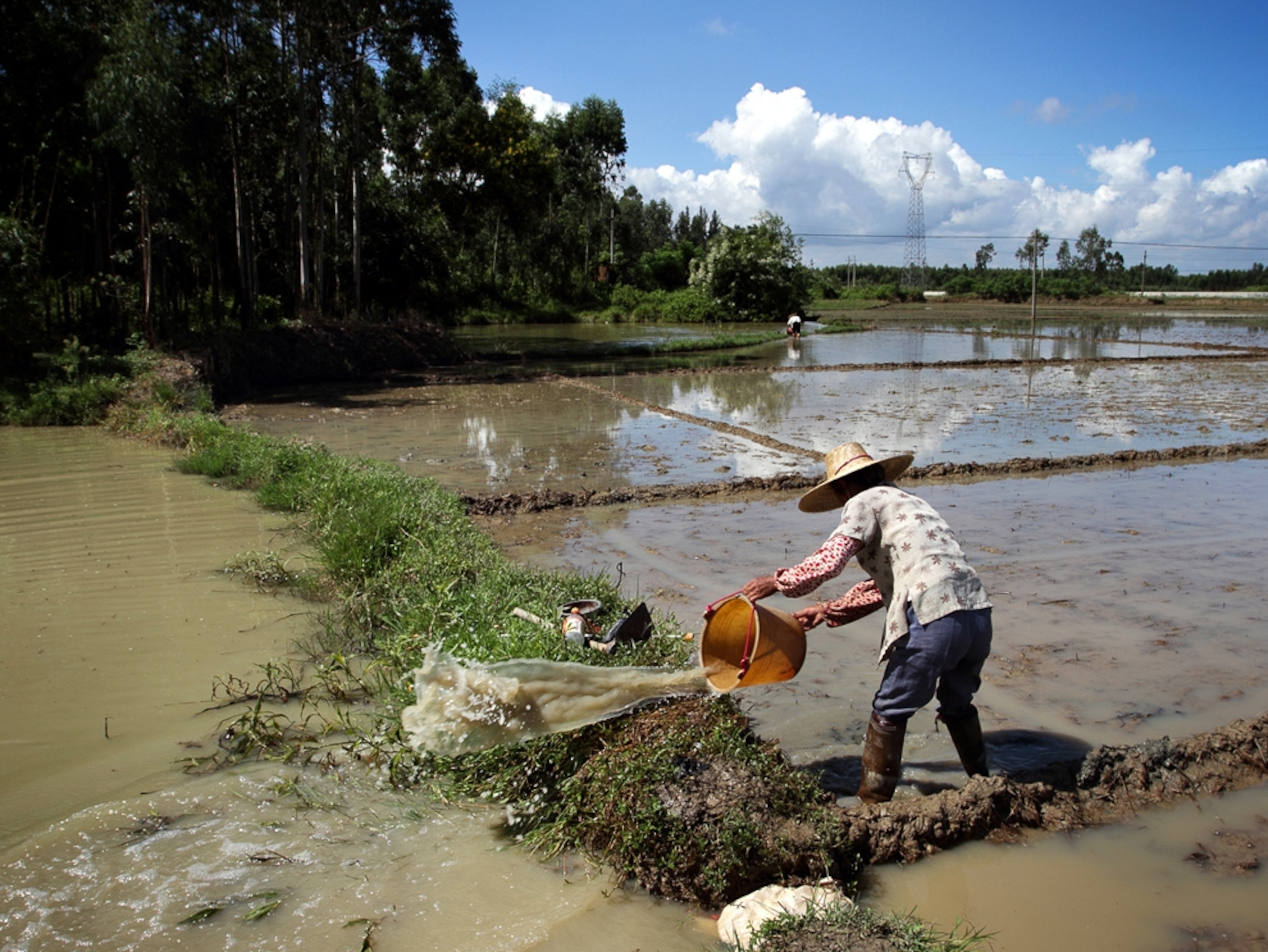 Pictures: China's Wetland Revolution | National Geographic