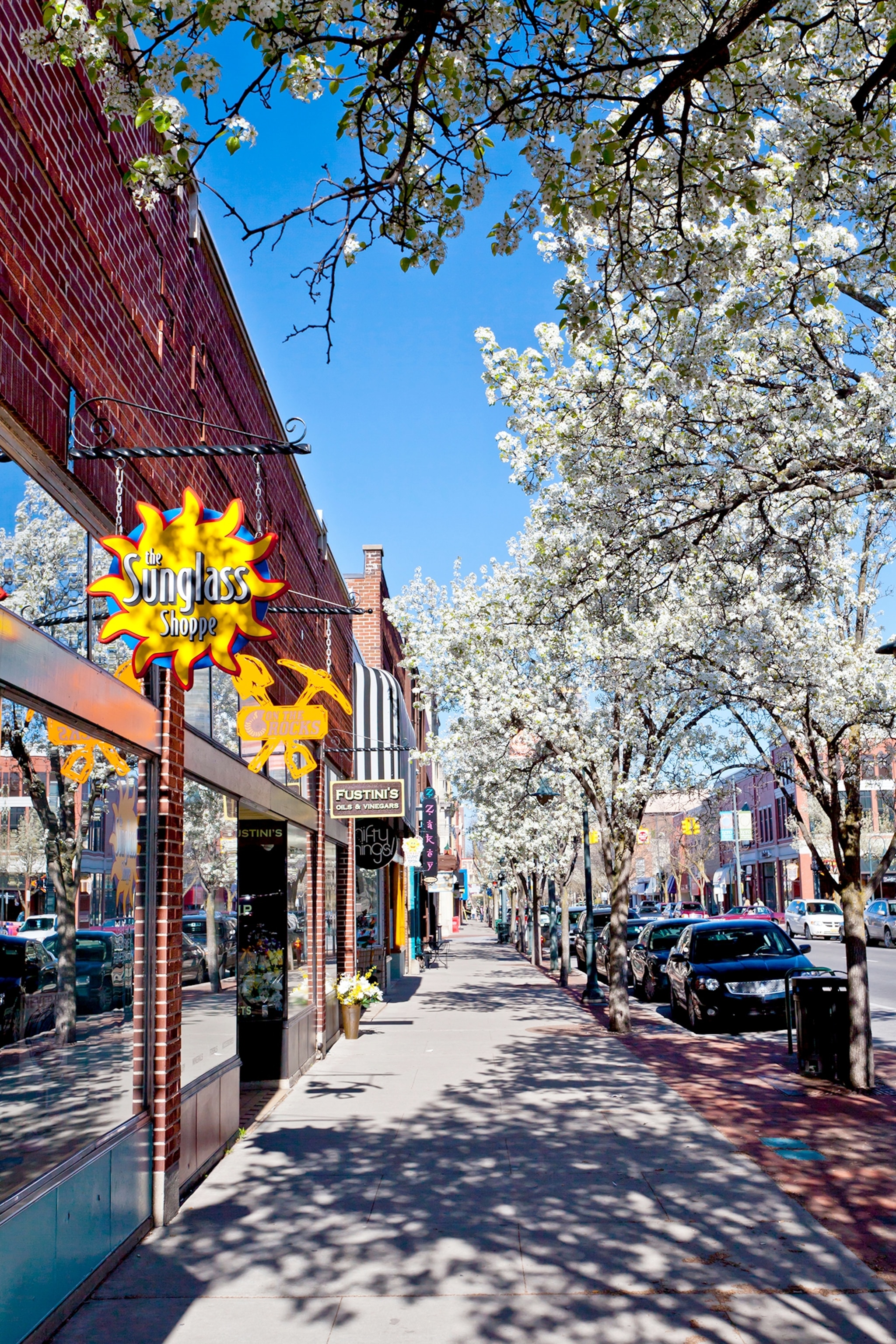 A Perfect Michigan Spot for Every Type of Traveler