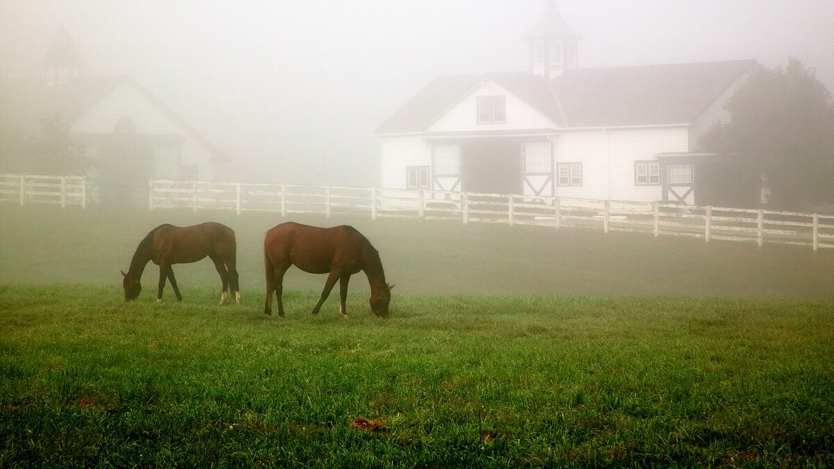 The Ultimate Southern Adventure: Kentucky | National Geographic
