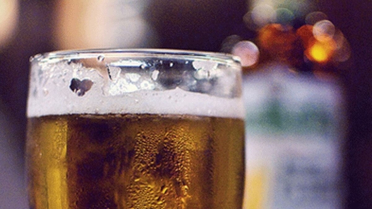 Raise your pints to the Patagonian fungus that helped us to brew lager ...