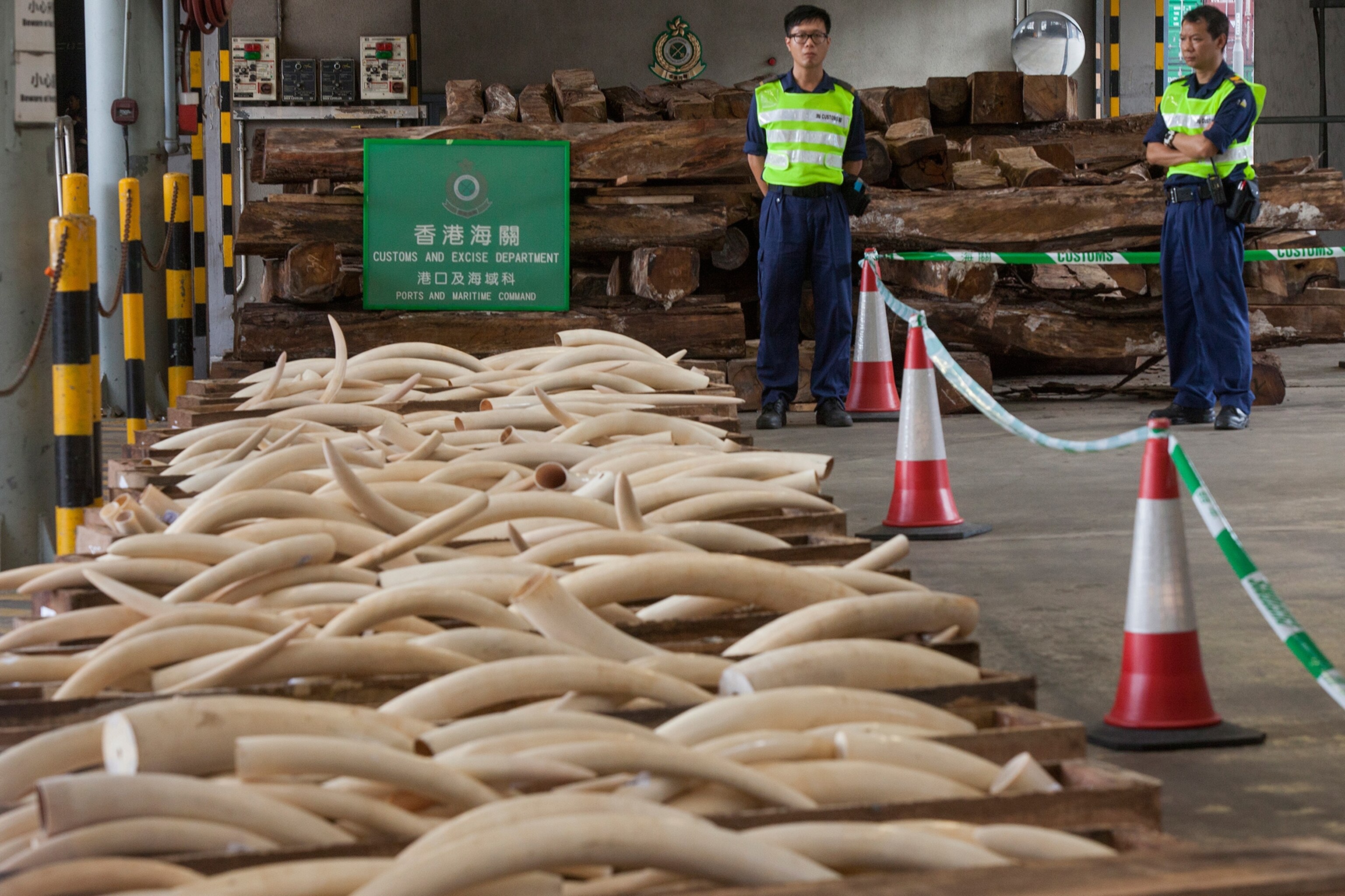 Trade Sanctions for Three Countries Over Illegal Ivory