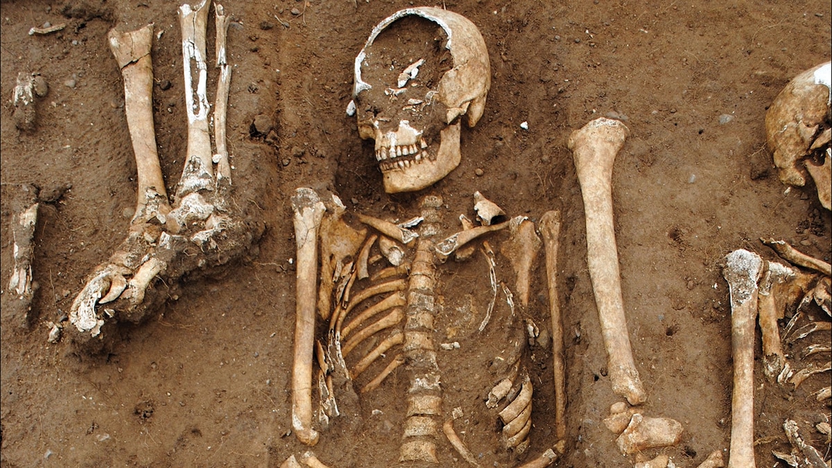 Black Death discovery offers rare new look at plague catastrophe ...