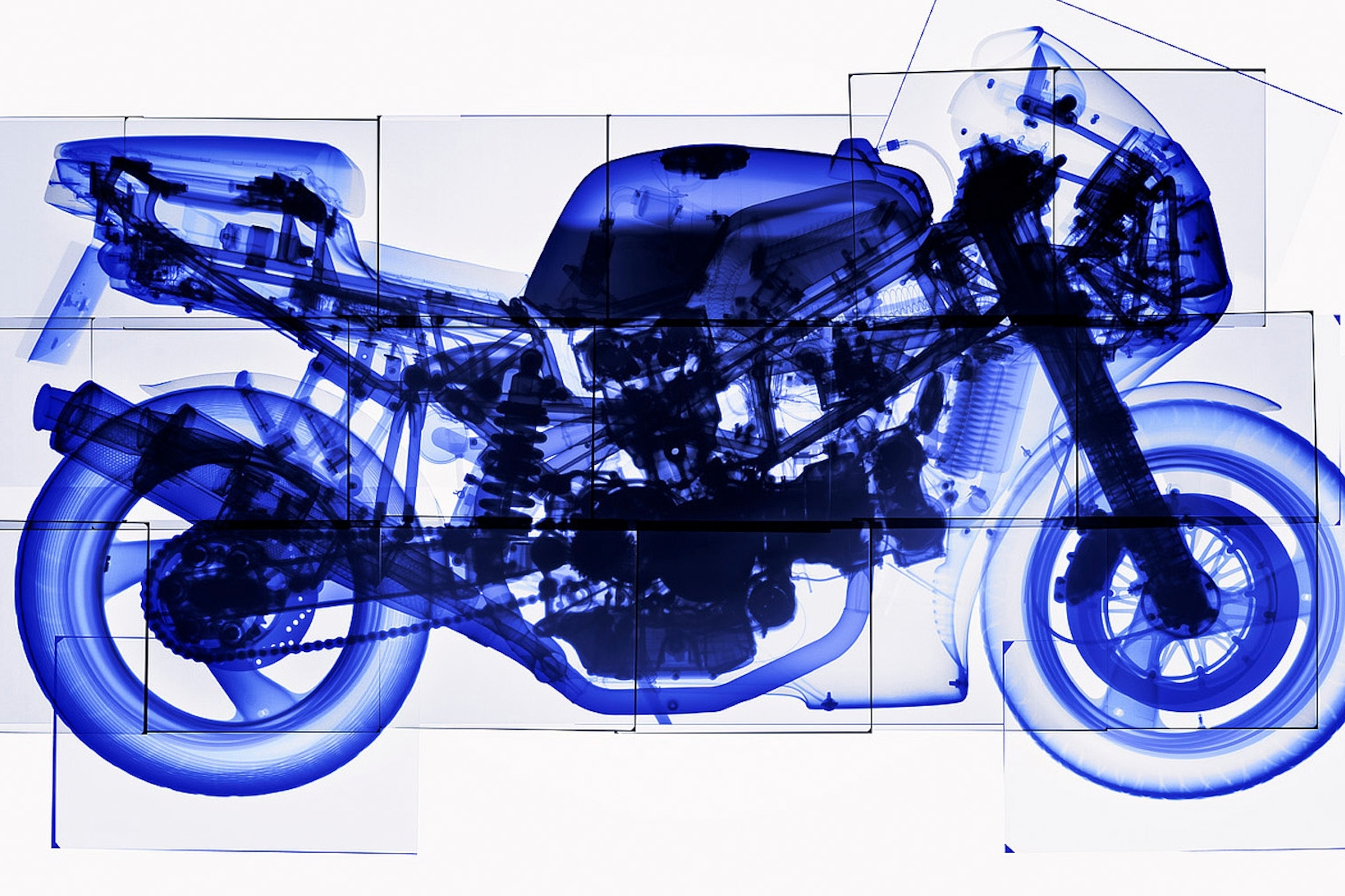 Hugh Turvey: Inside the Life of an X-Ray Artist