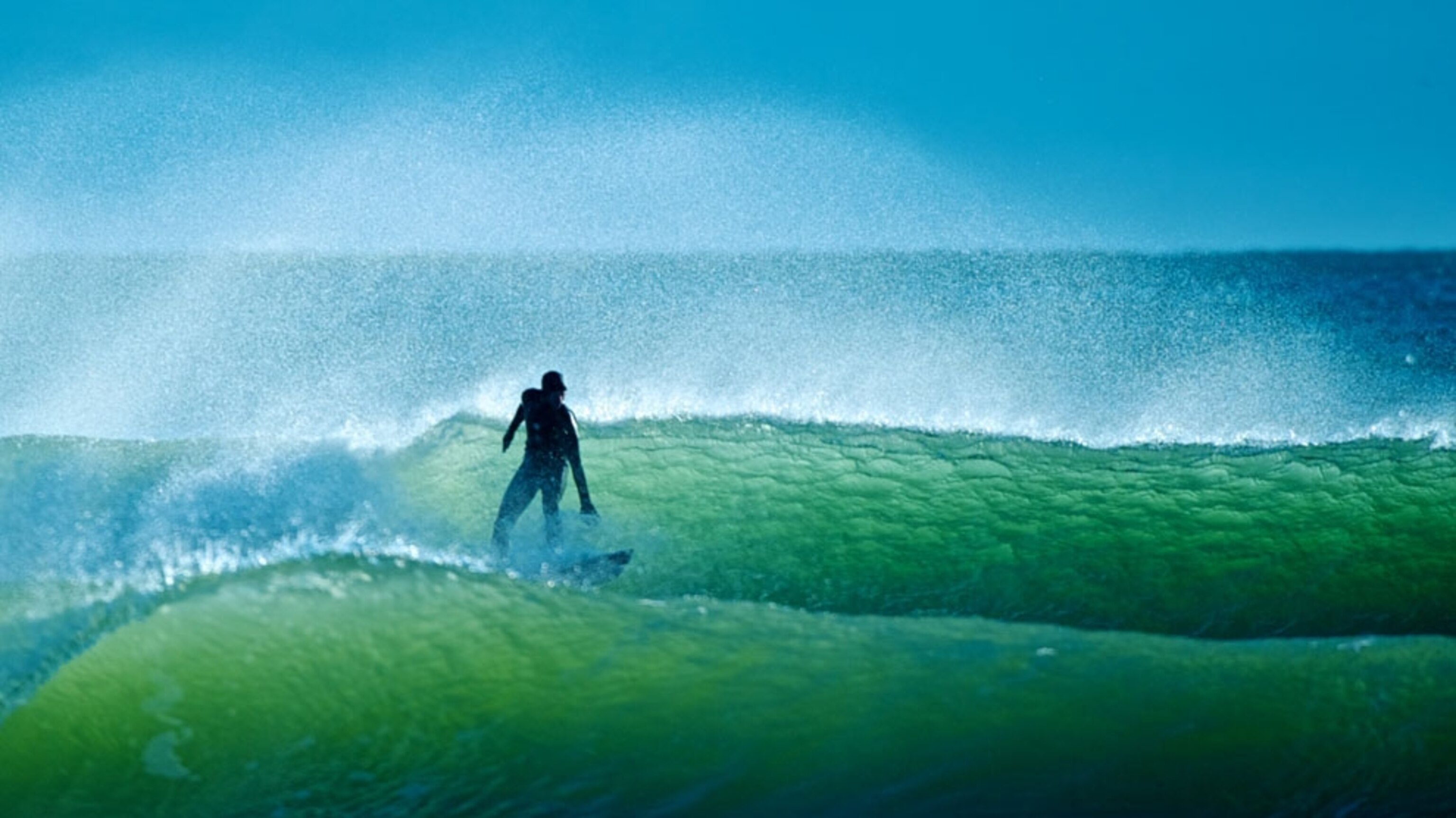 Your Surfing Photos -- National Geographic