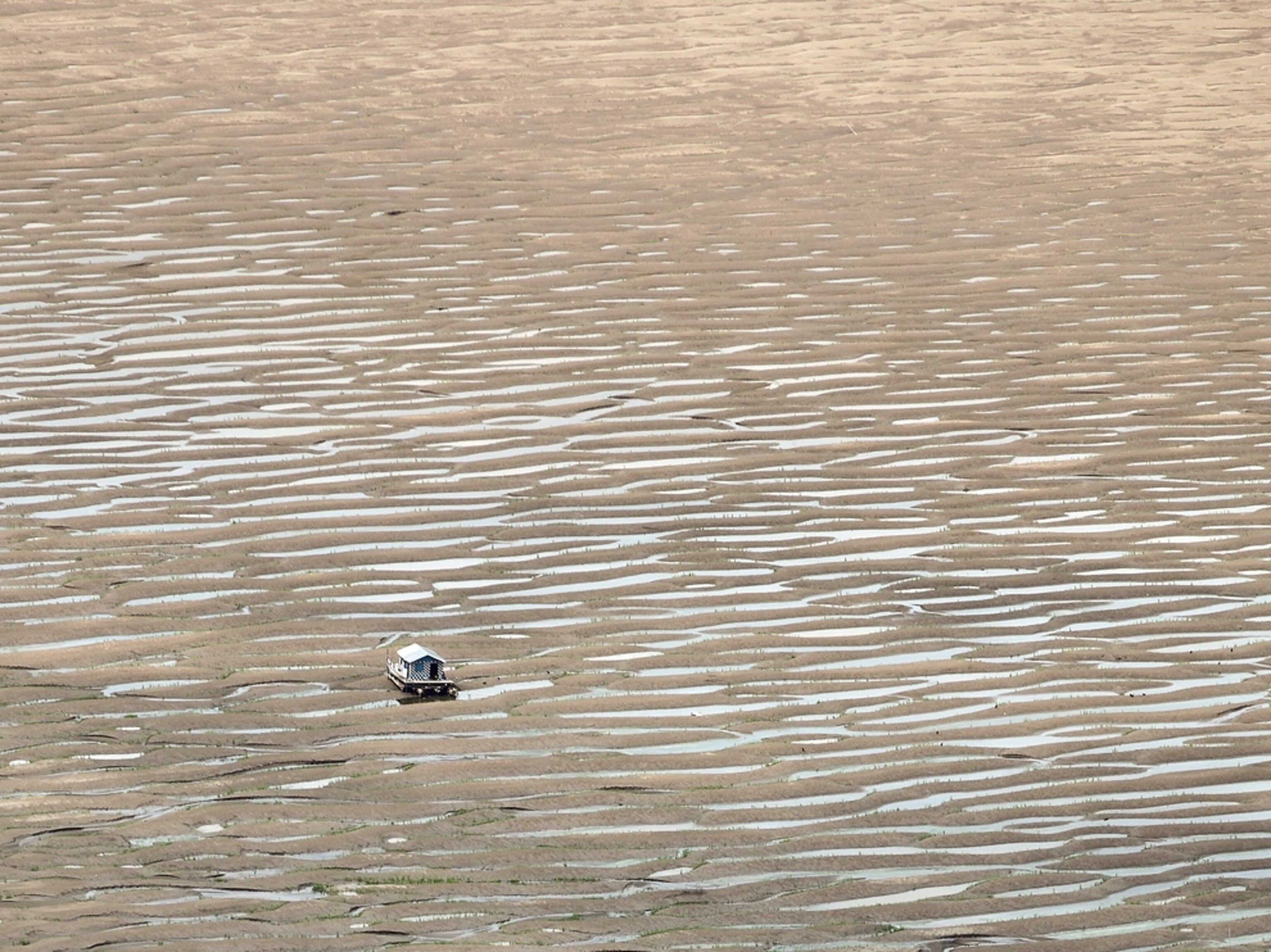 PHOTOS: "Alarming" Amazon Drought—River Hits New Low | National Geographic