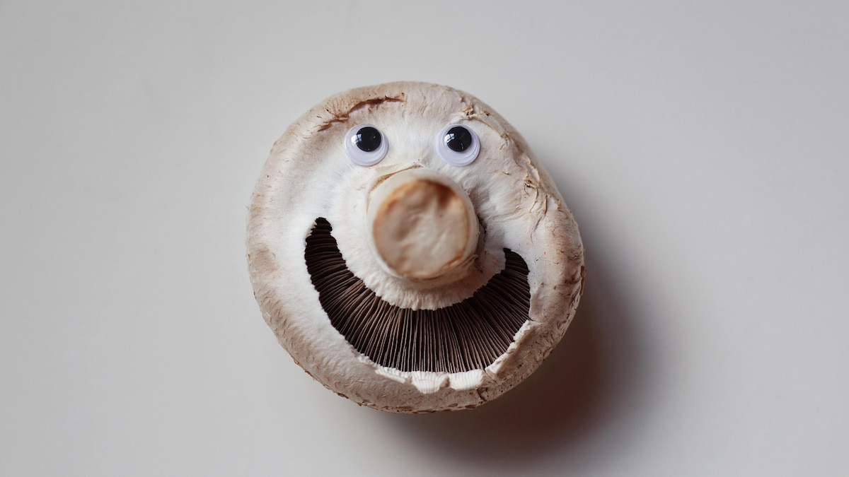 The Most Beautiful Photos of Ugly Food—So Far | National Geographic