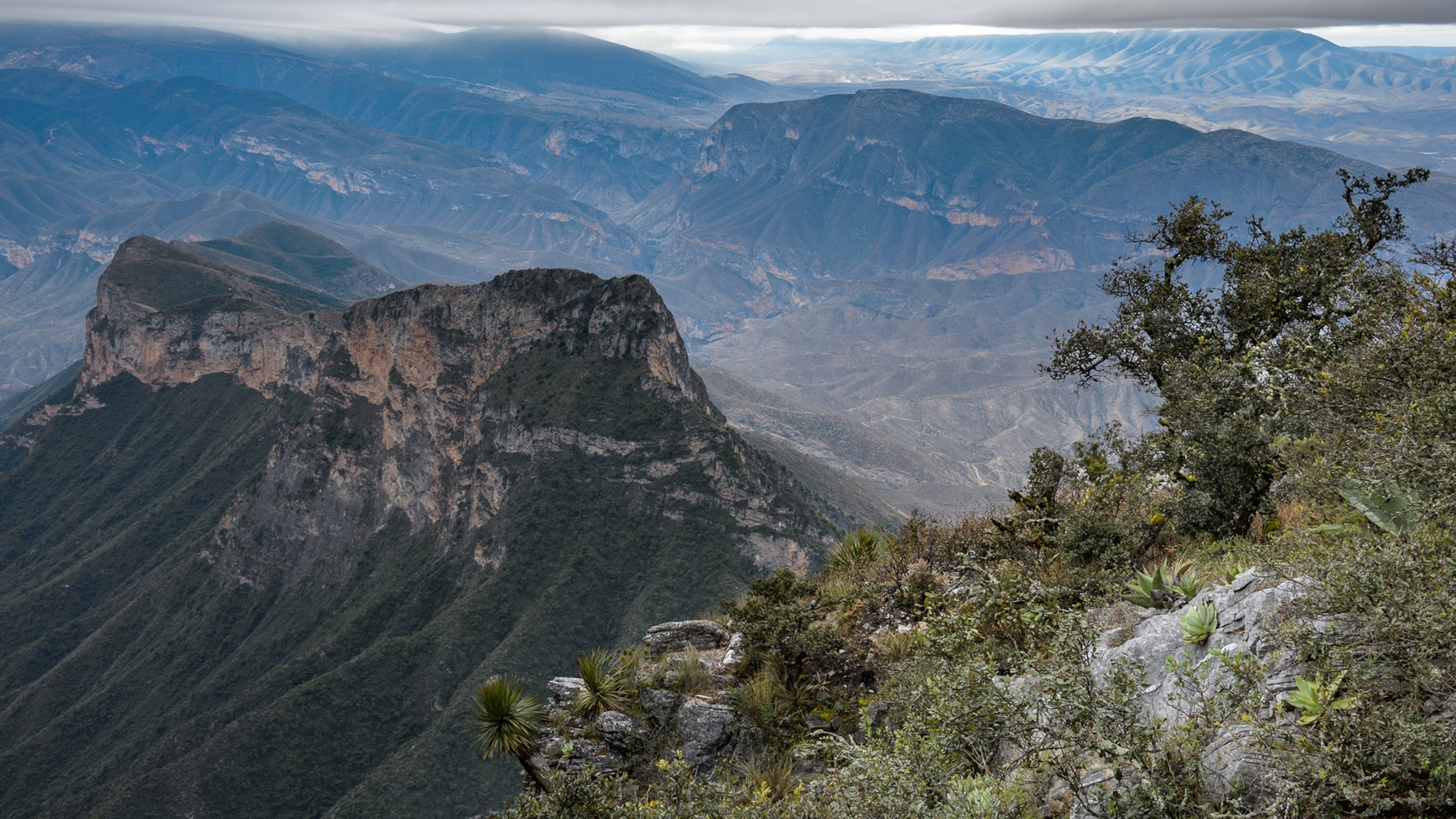 In Mexico’s vibrant forests, locals adapt to a year without tourists