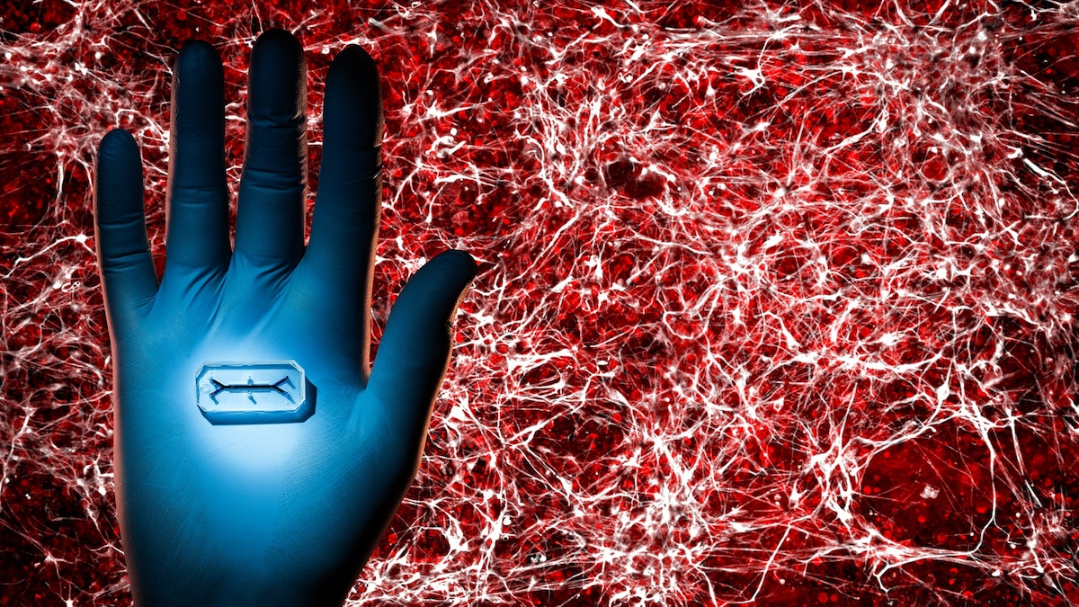 How personalized medicine is transforming your health care | National ...