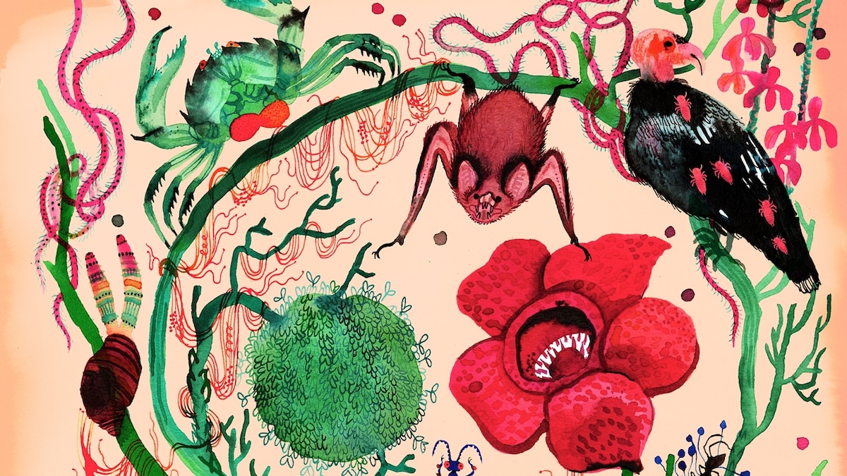 Parasites are going extinct. Here’s why we need to save them ...