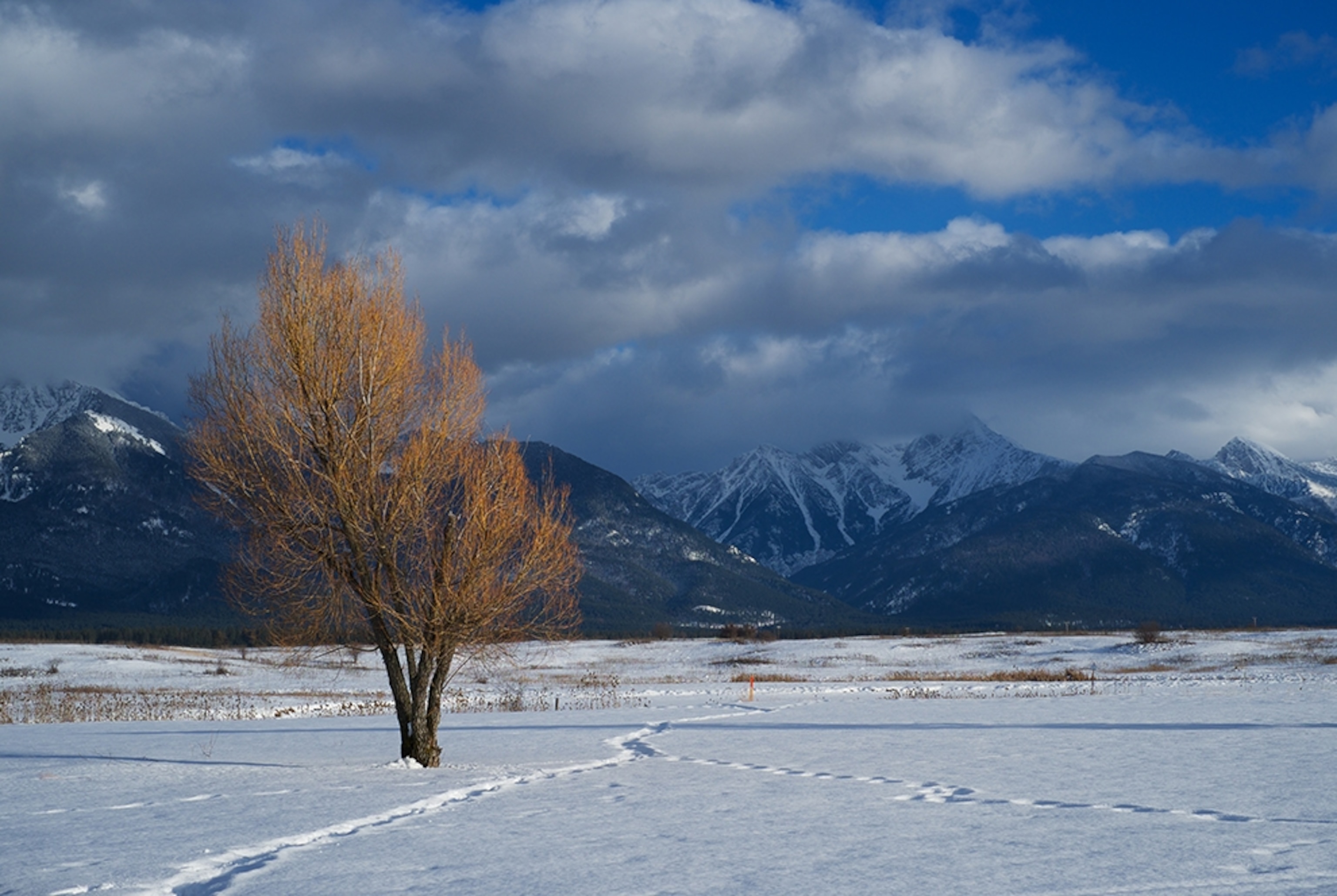 Winter in Montana -- National Geographic | National Geographic