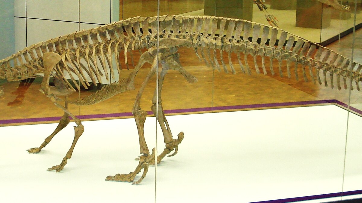 Another Dinosaur Bites the Dust | National Geographic