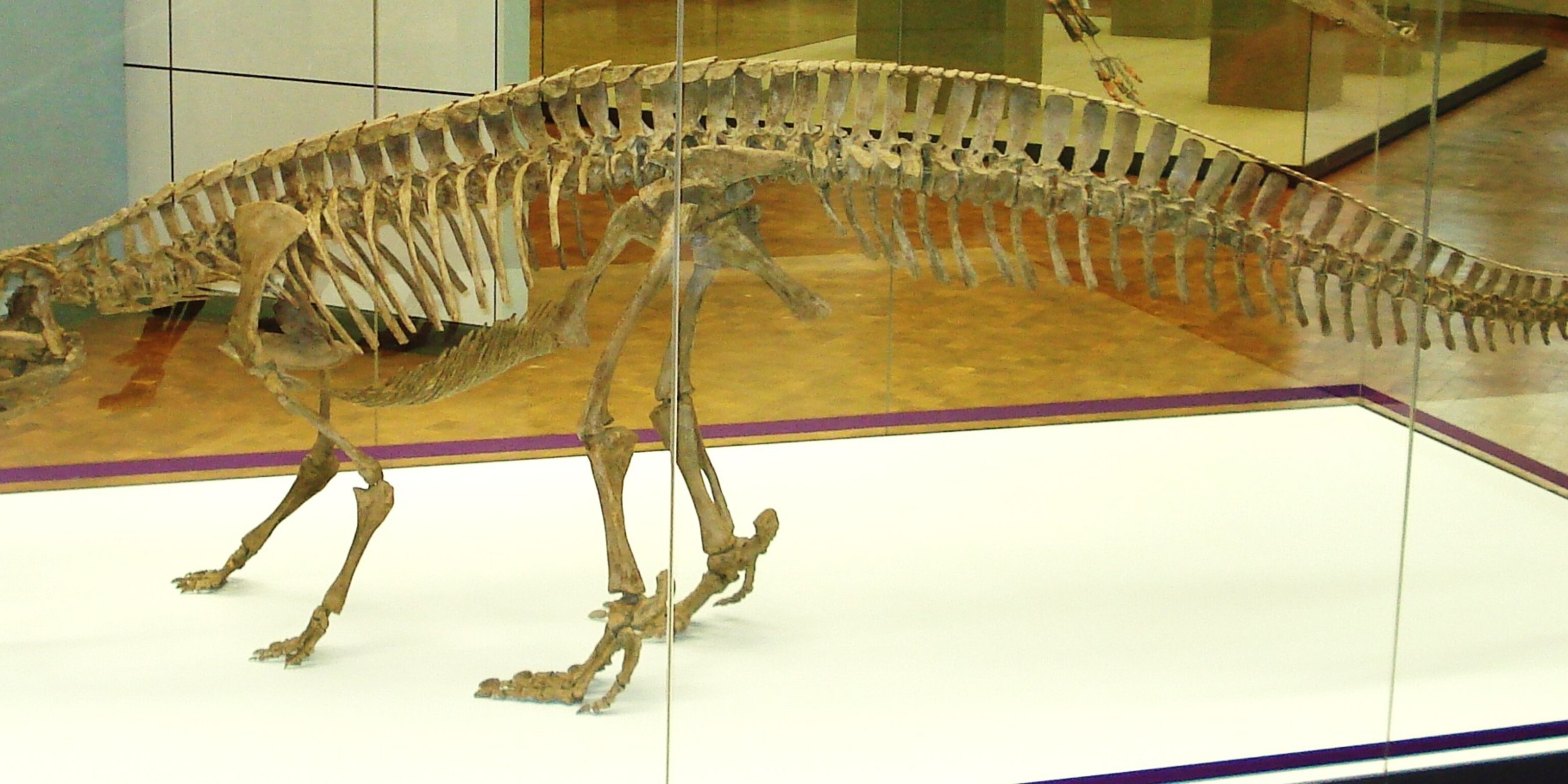 Another Dinosaur Bites the Dust