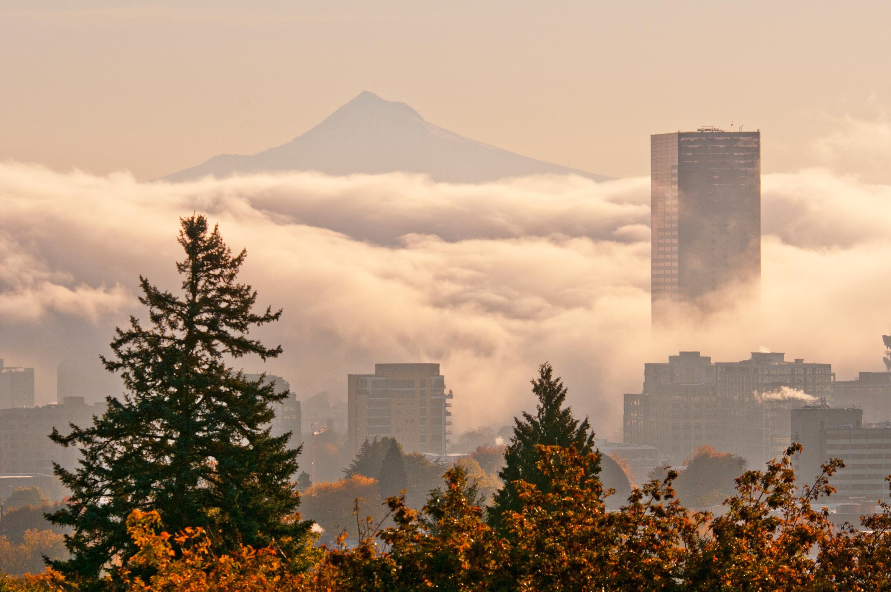 Portland Travel Guide