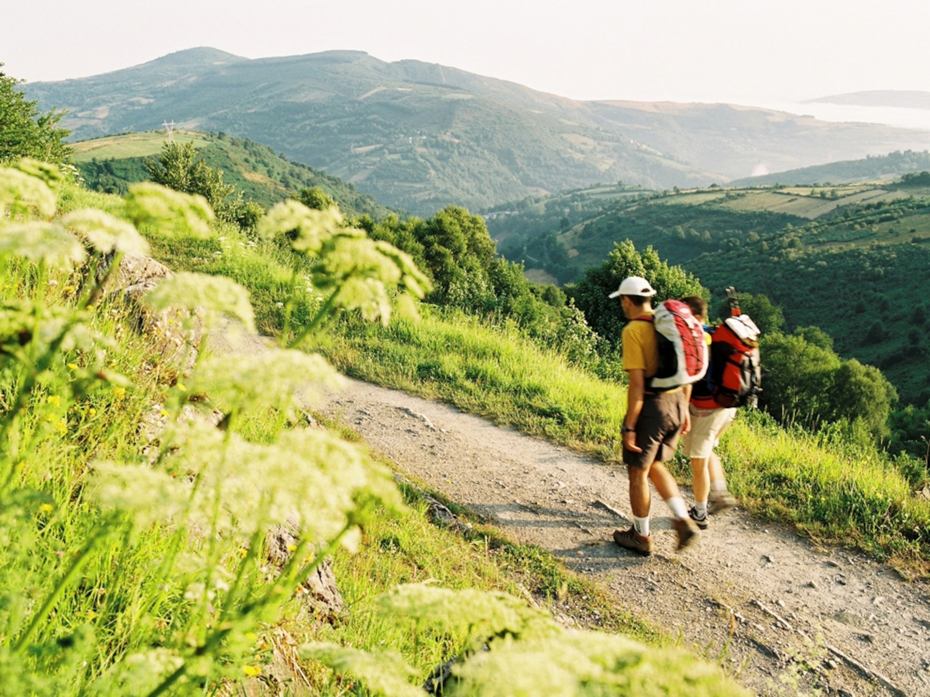 Spanish Brunch on the Camino de Santiago -- National Geographic ...