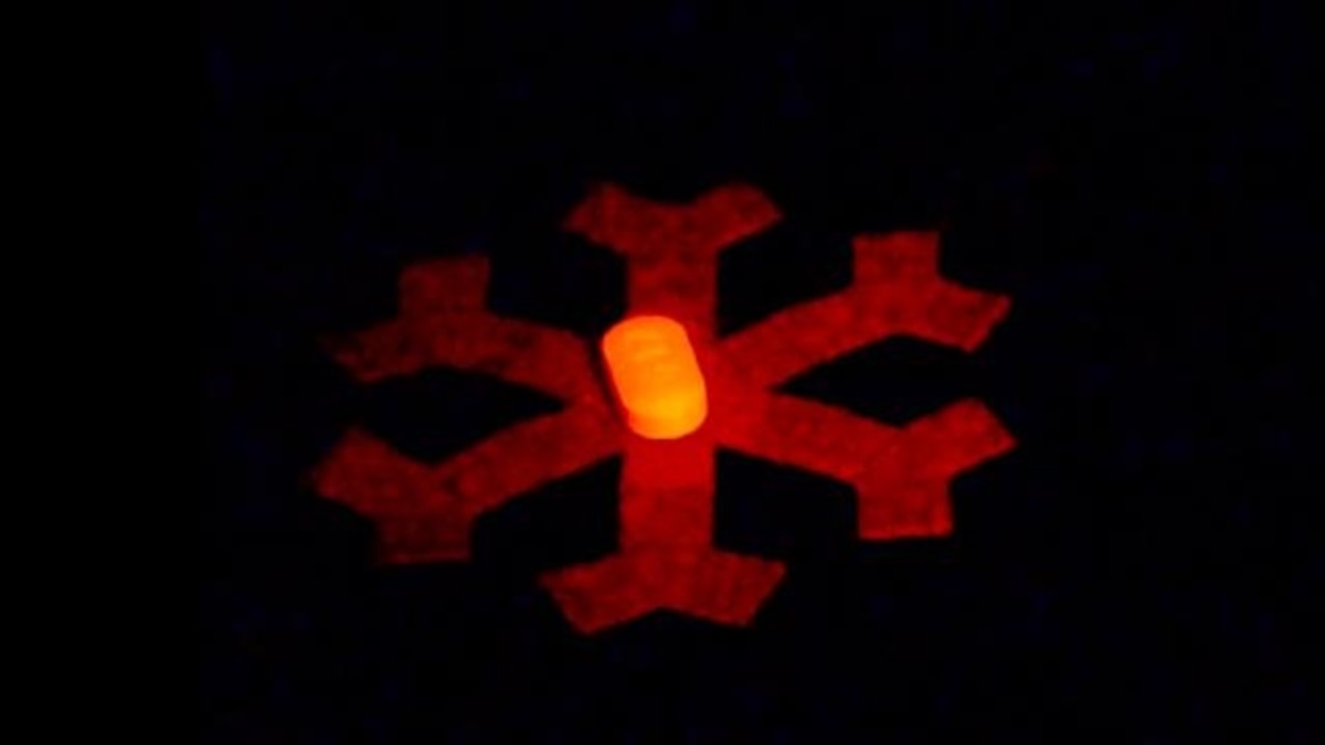 3D Printed Soft Robots Use Magnetic Field to Crawl, Jump, and Roll