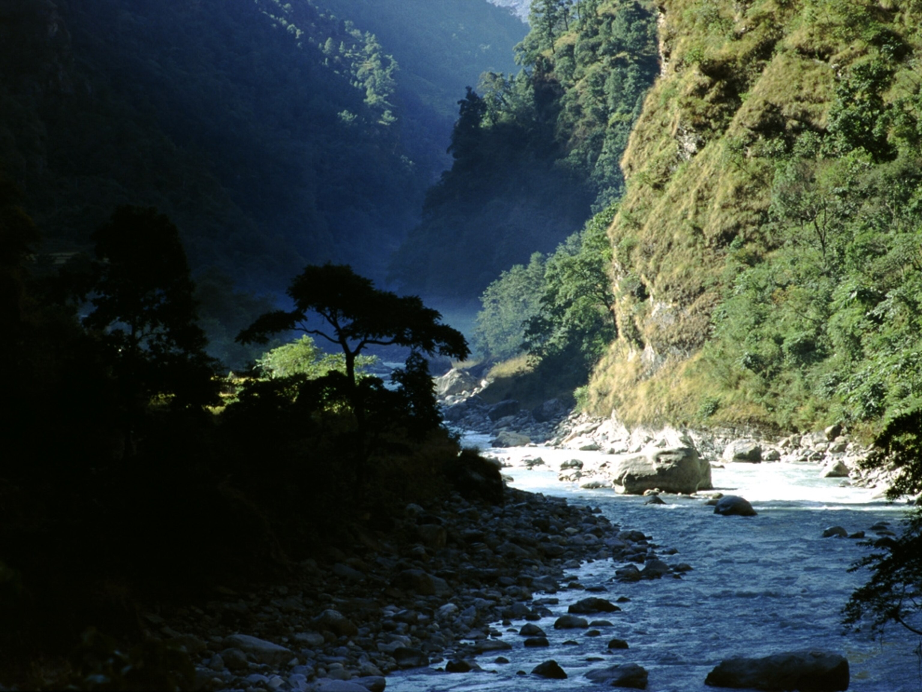 Earth Day Pictures: Ten Most Threatened Forests | National Geographic