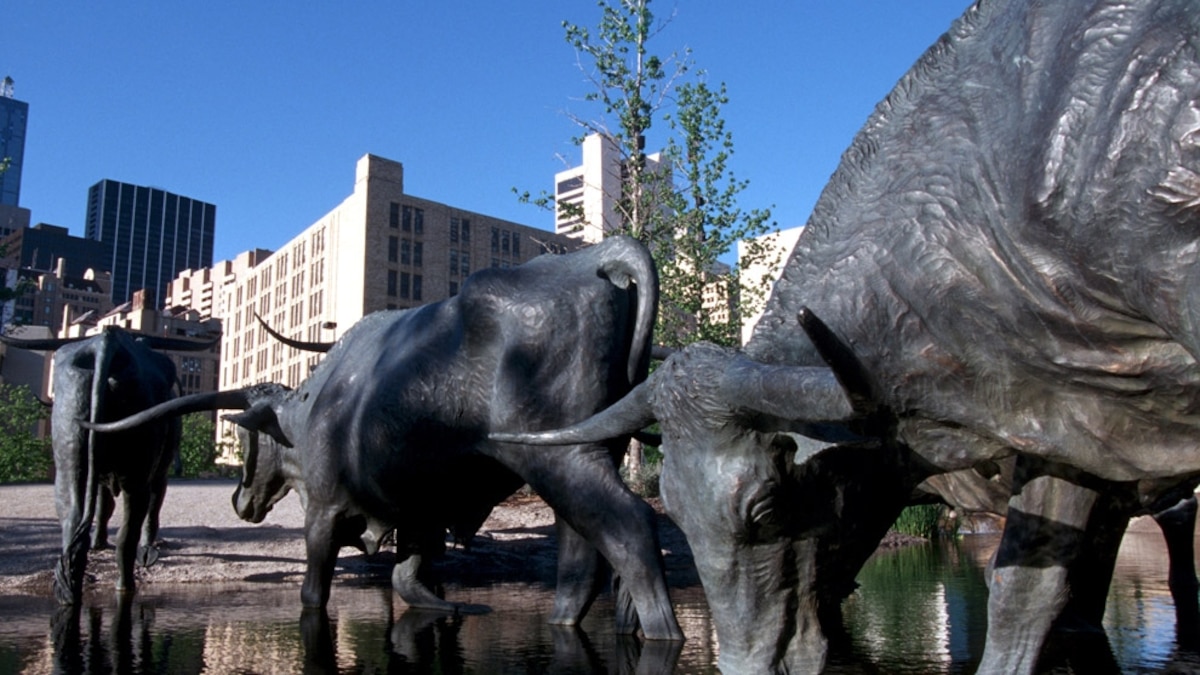 Dallas in Photos: Discover the Soul of Texas | National Geographic