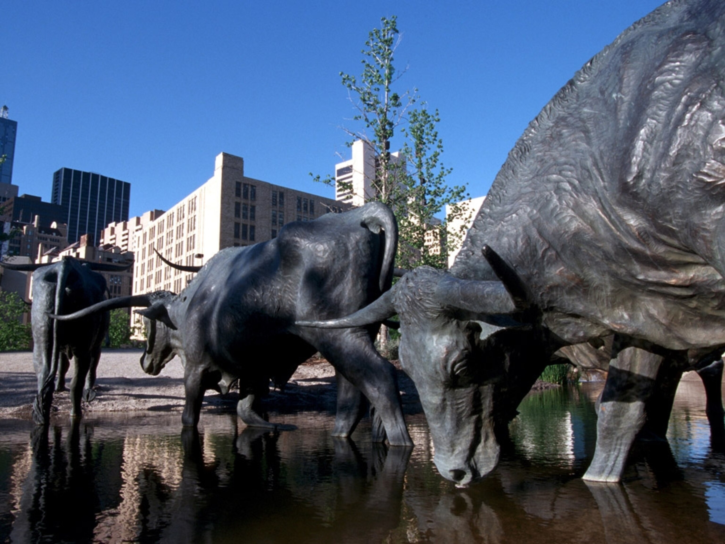 Dallas Photos -- National Geographic's Ultimate City Guides