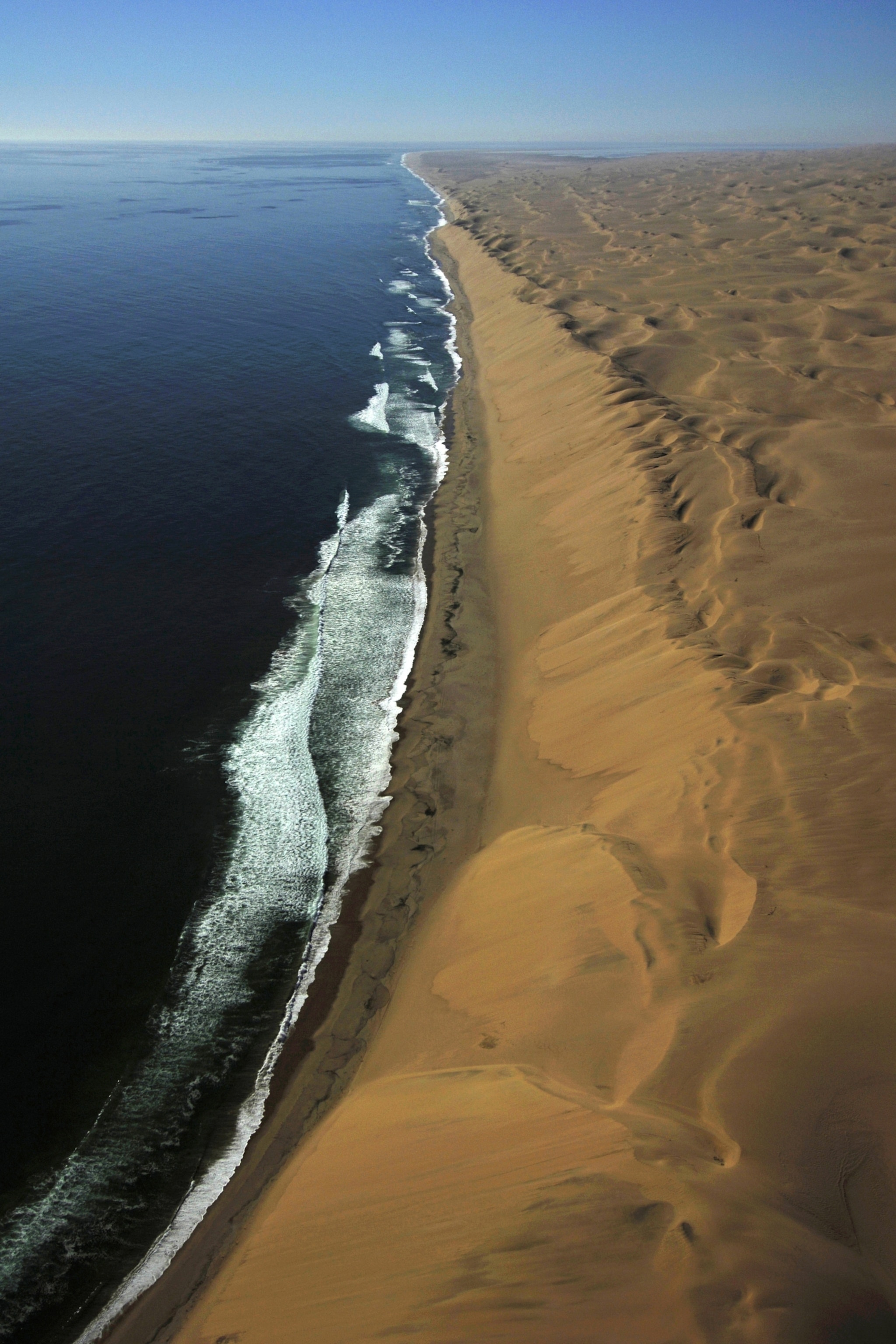 Amazing Pictures Show Life In One of Earth's Oldest Deserts
