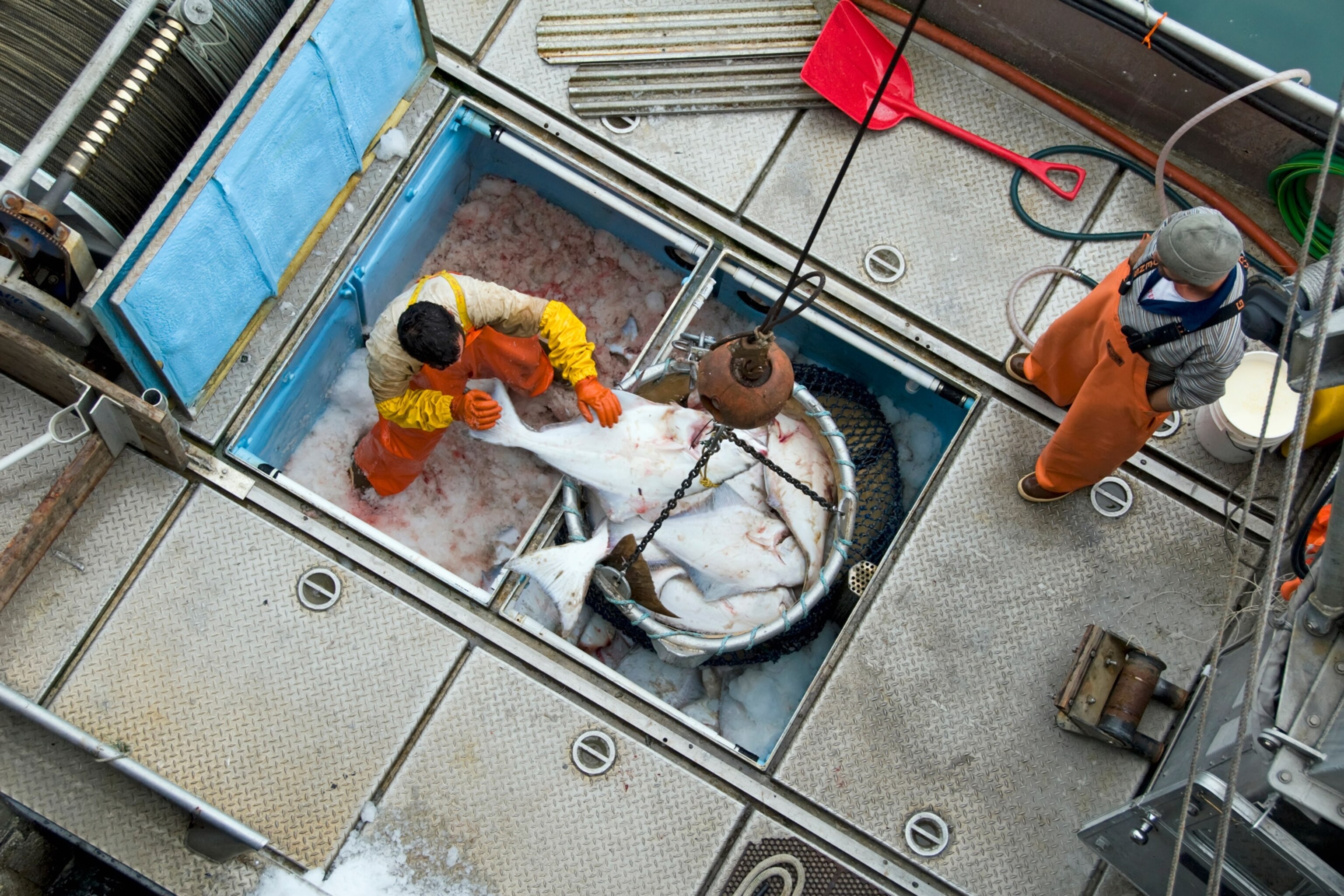 As halibut decline, Alaska Native fishers square off against industrial ...