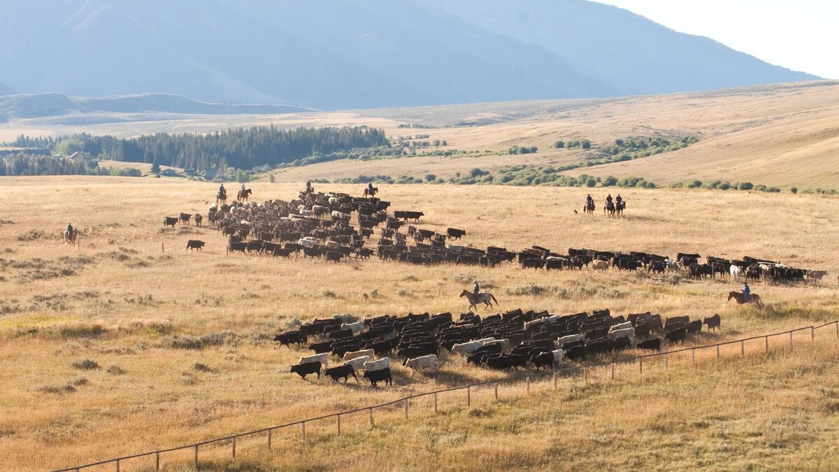 Humane Animal Treatment Fields a New Generation | National Geographic