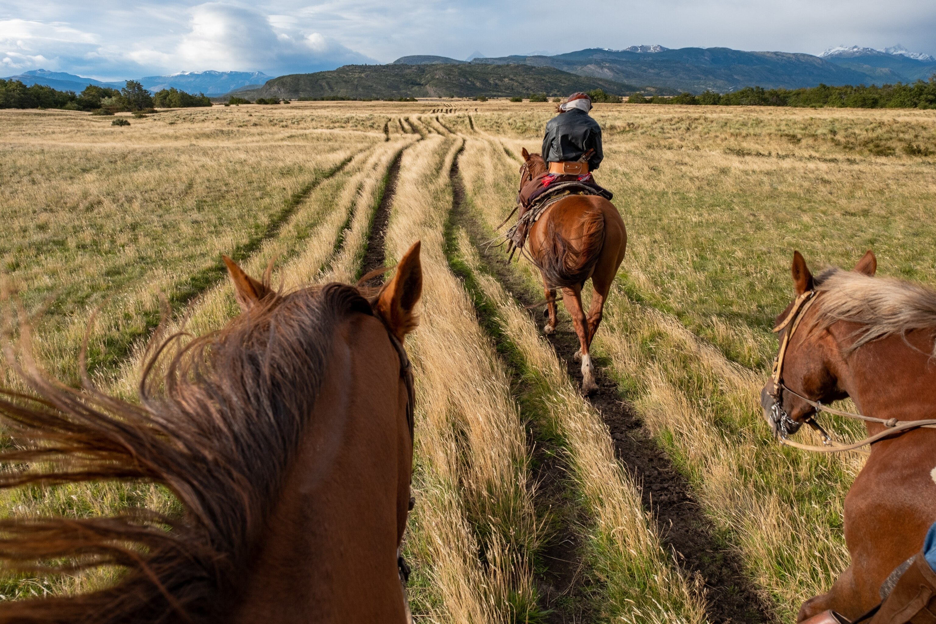 Venture into Chile’s wild open spaces