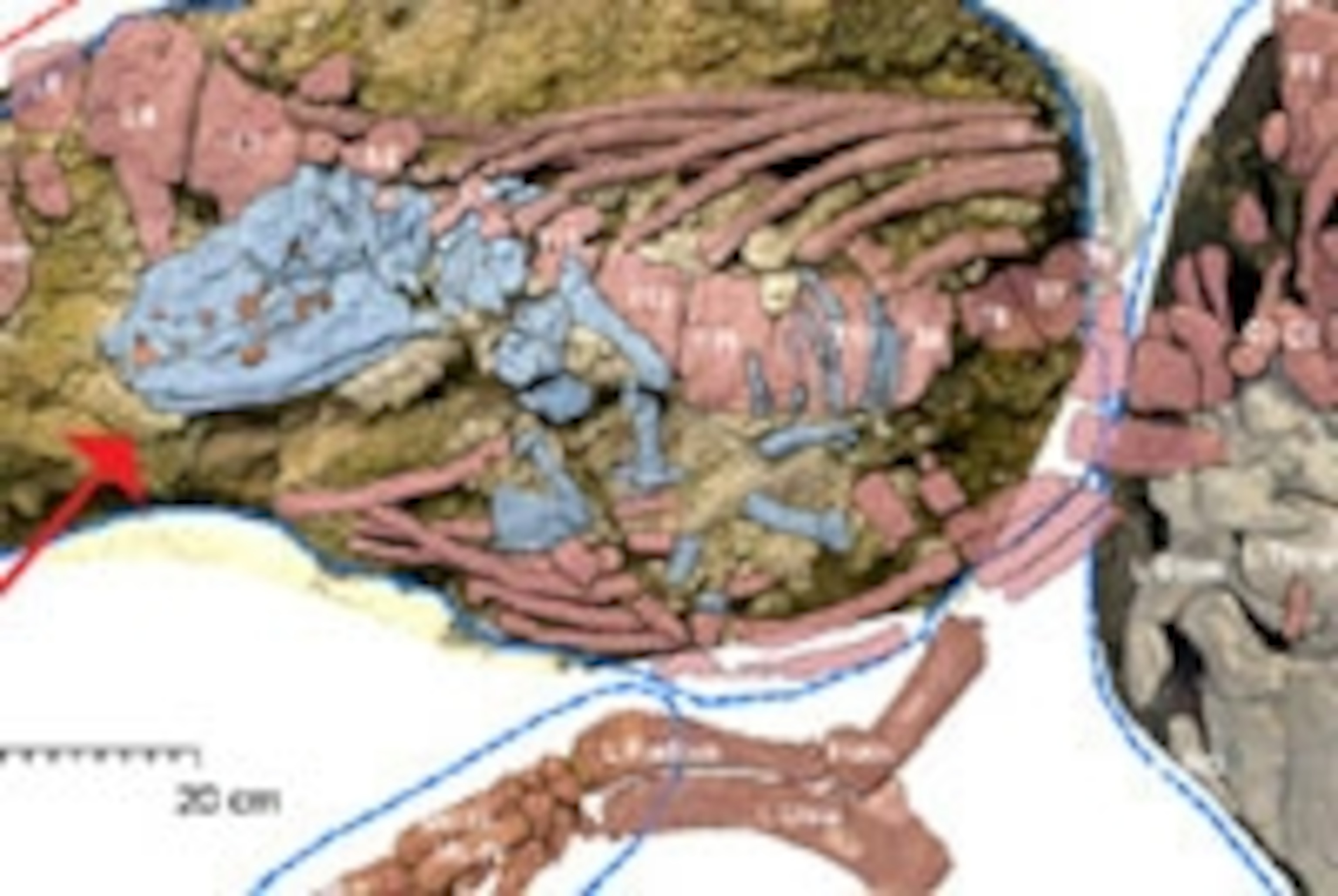 Not Exactly Rocket Science Review of 2009