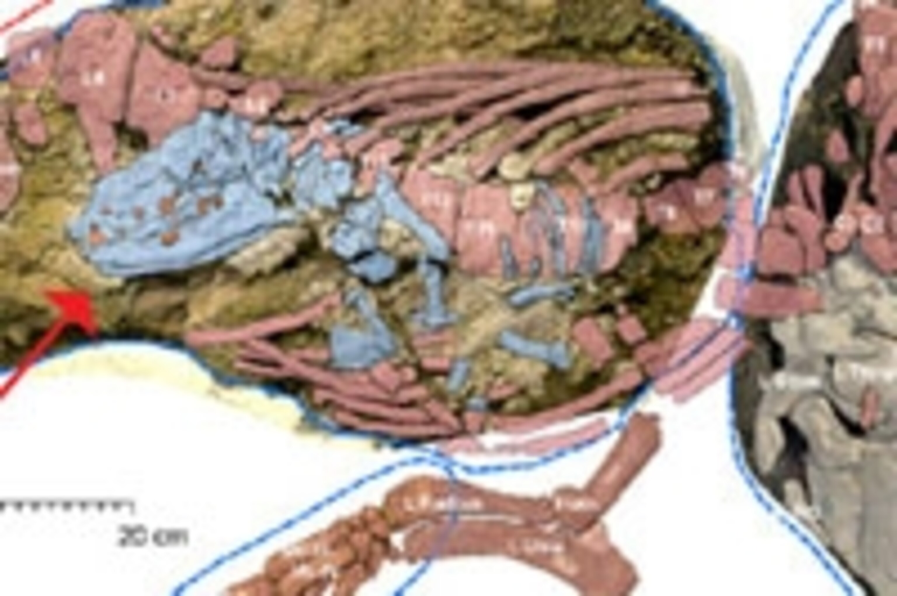 Not Exactly Rocket Science Review of 2009