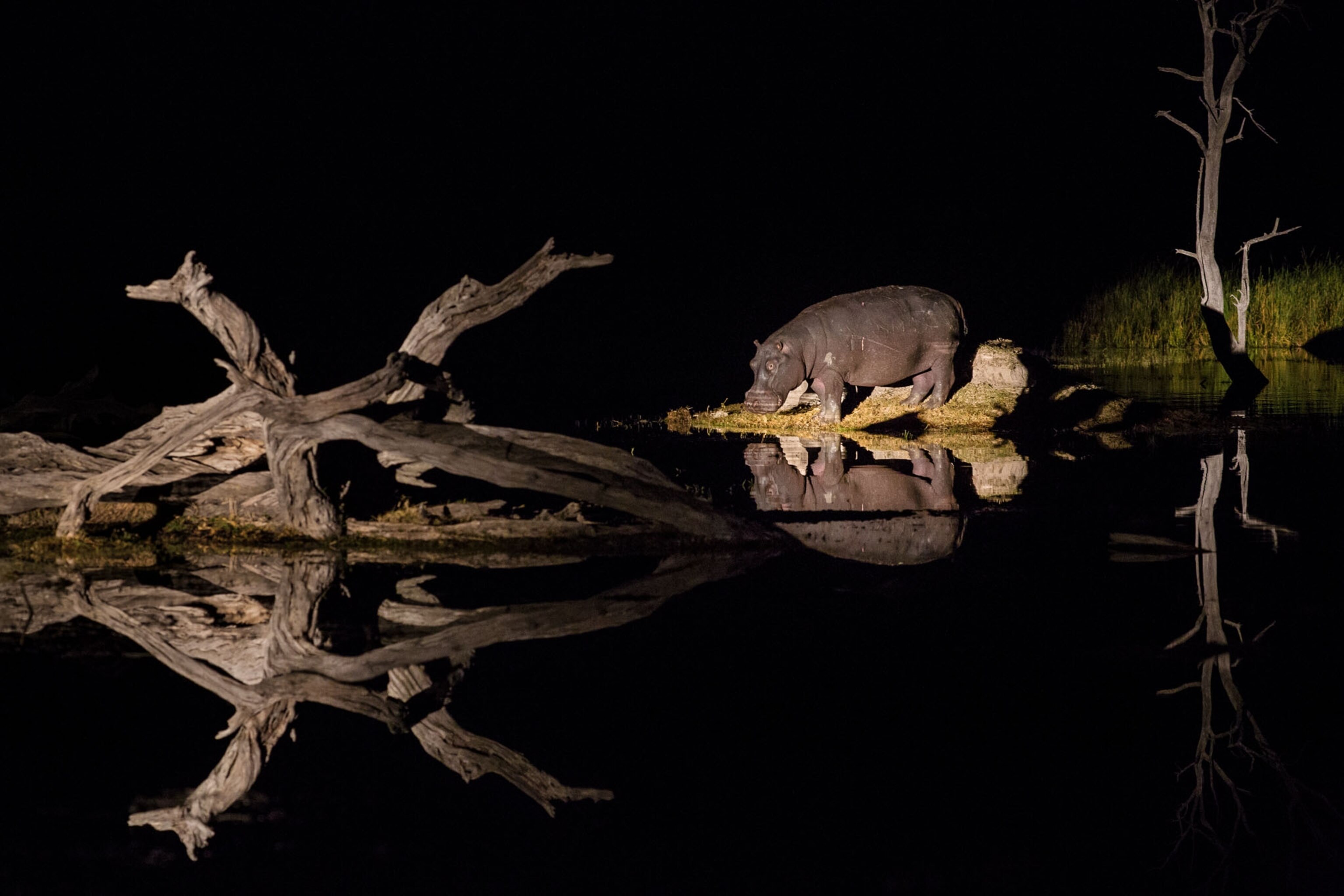 Inside the Ambitious Mission to Save Africa’s Okavango Delta