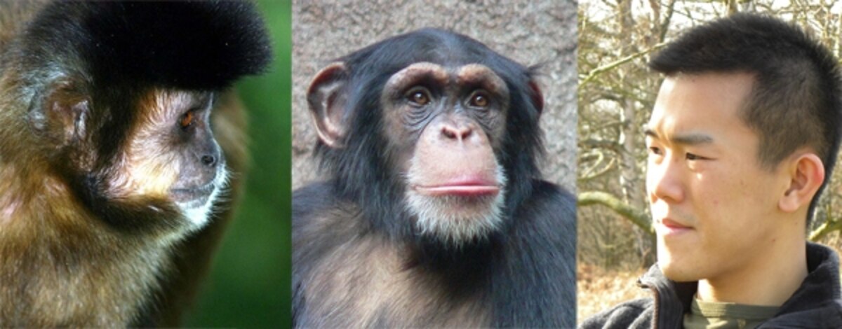 Playing by the same rules reduces the differences between humans ...