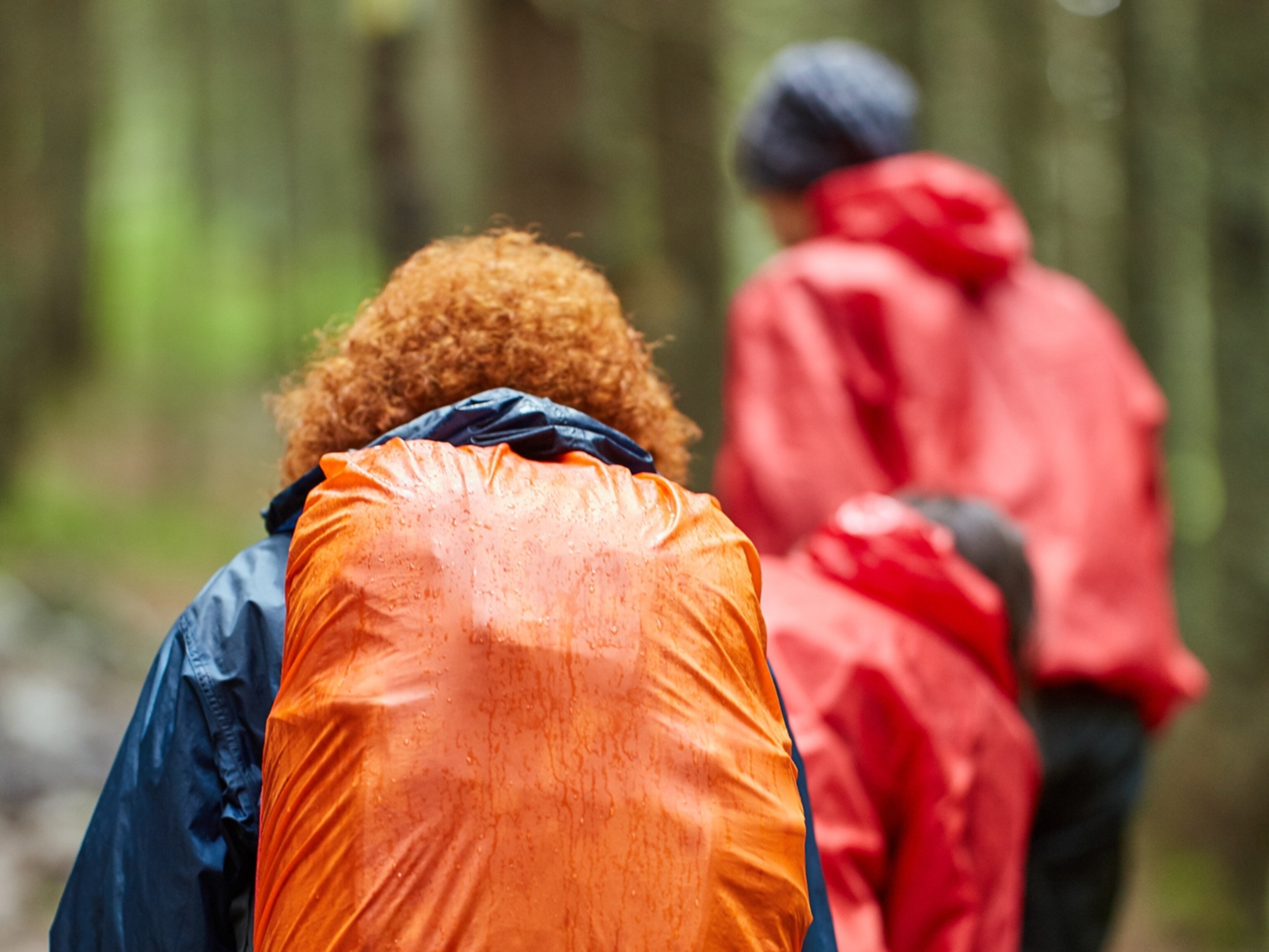 10 Best Backpacking Trips in U.S. National Parks - National Geographic