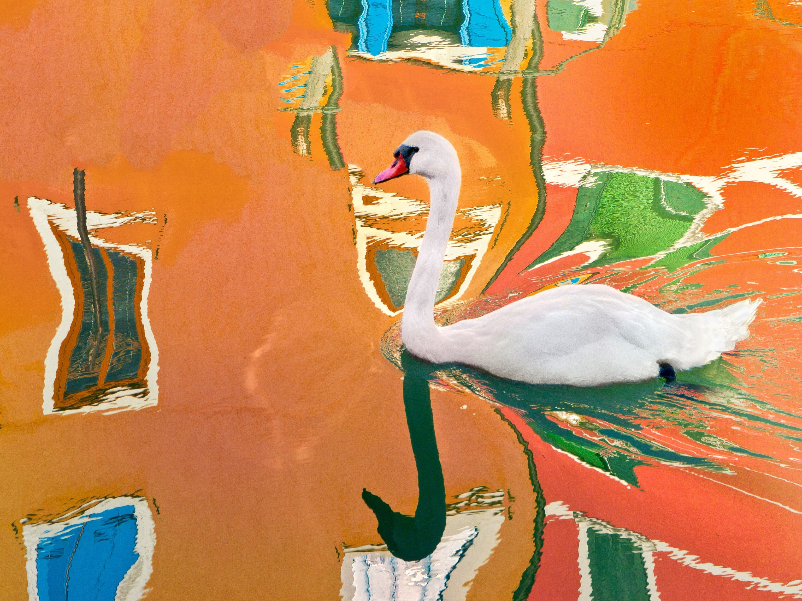 Pictures: What a Spark of Genius Looks Like