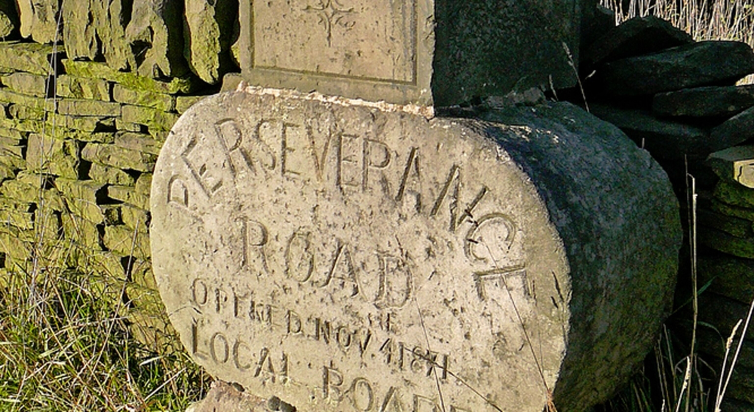 Electric Brain Stimulation Triggers Eye-of-the-Tiger Effect | National ...