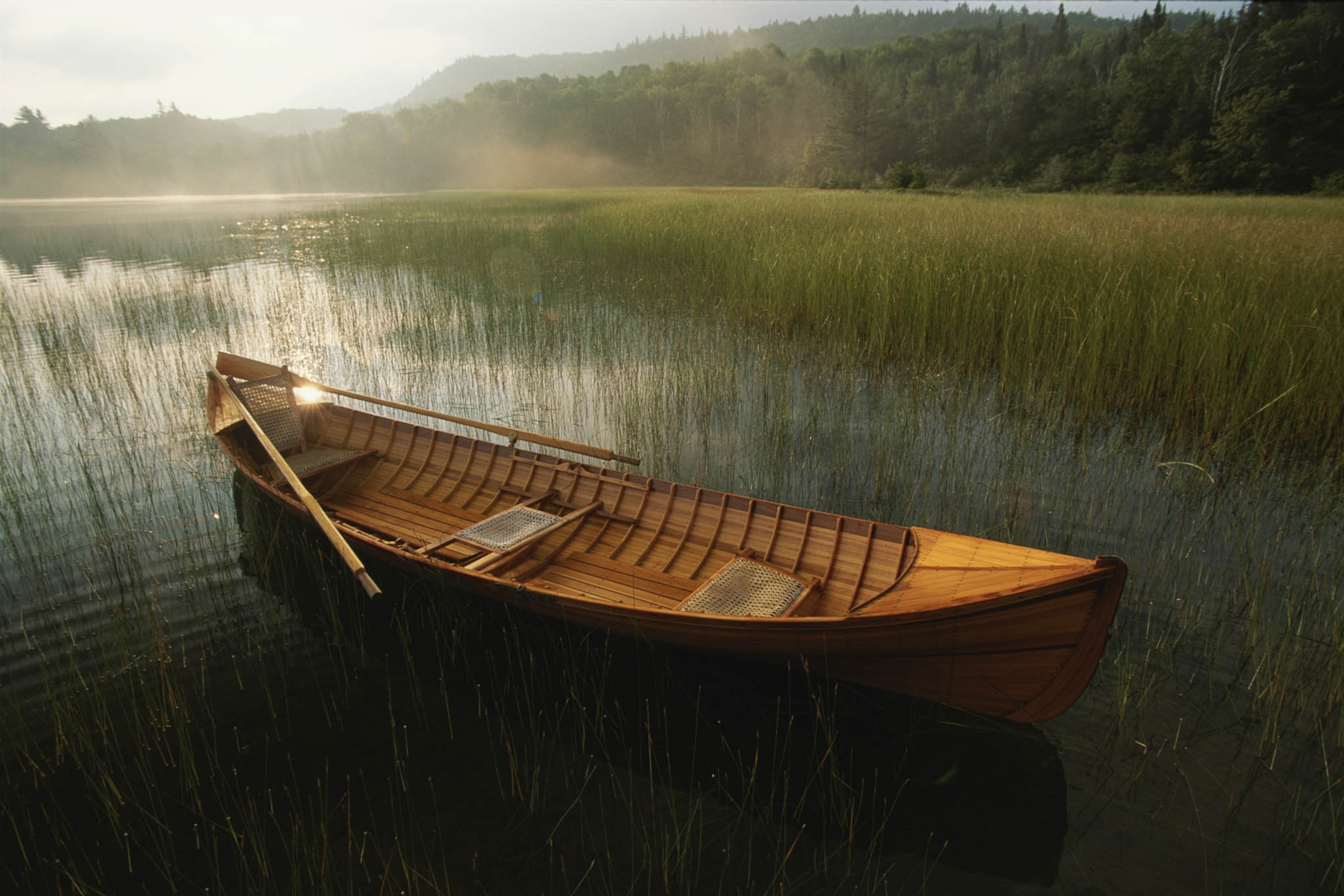 53 National Geographic Nature Photos to Inspire Happiness