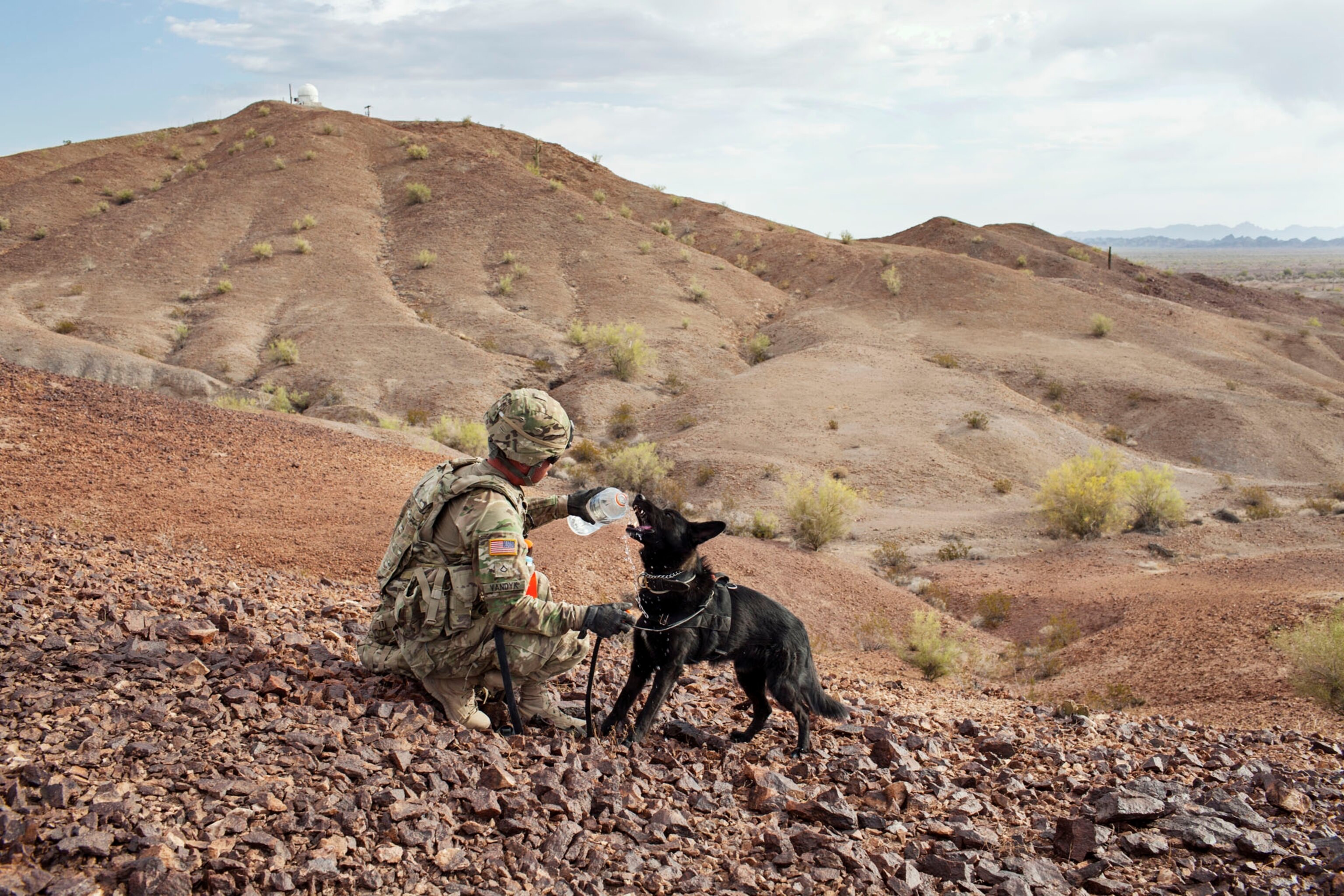 The rigors of war dog training and why Conan is our latest war hero