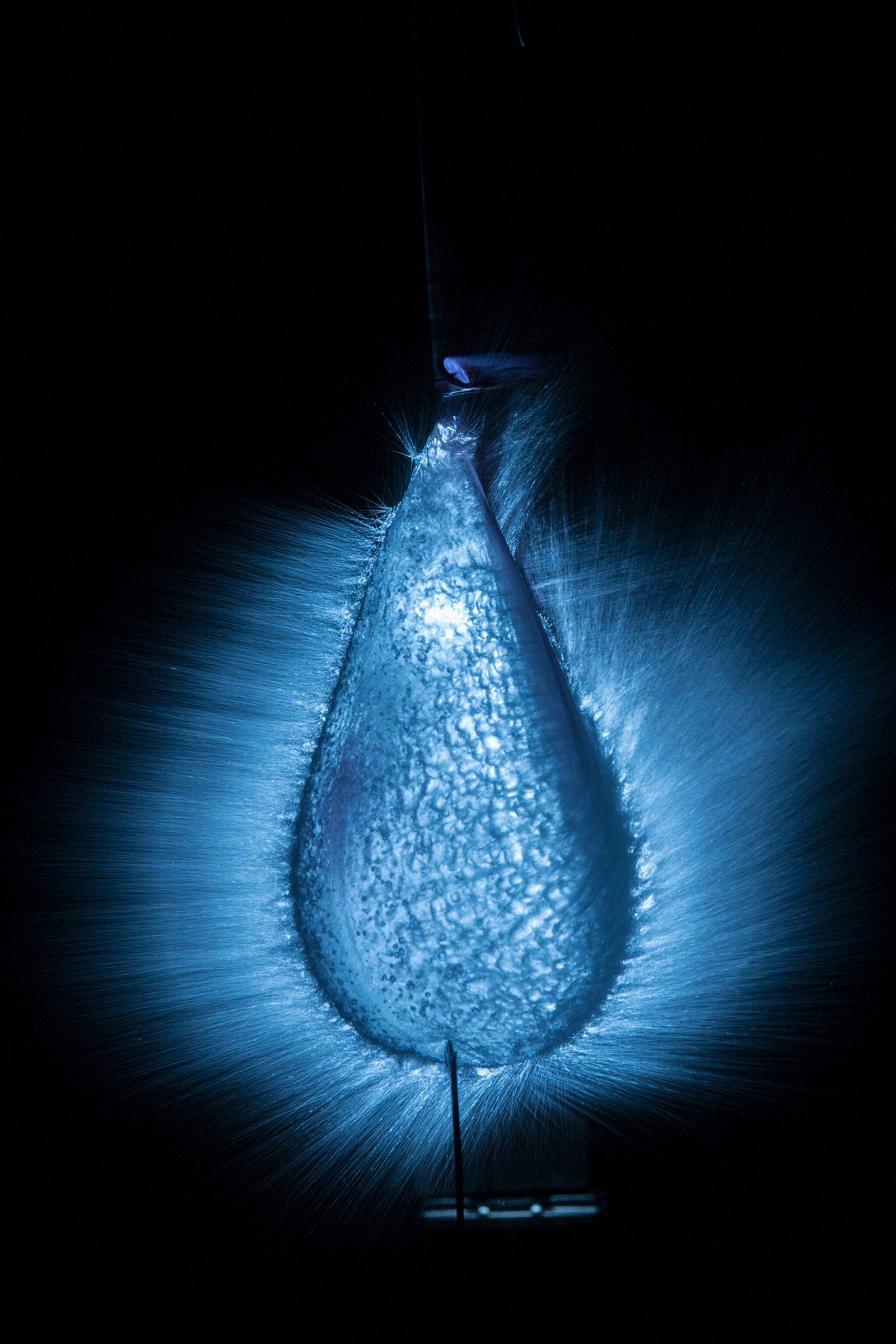 12 Rare and Astonishing Photographs