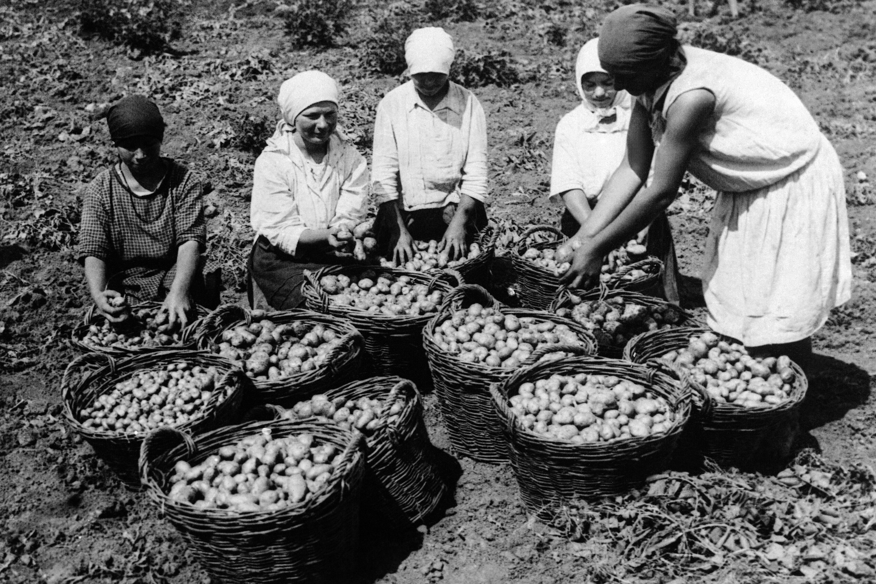 Russia and Ukraine: the tangled history that connects—and divides—them