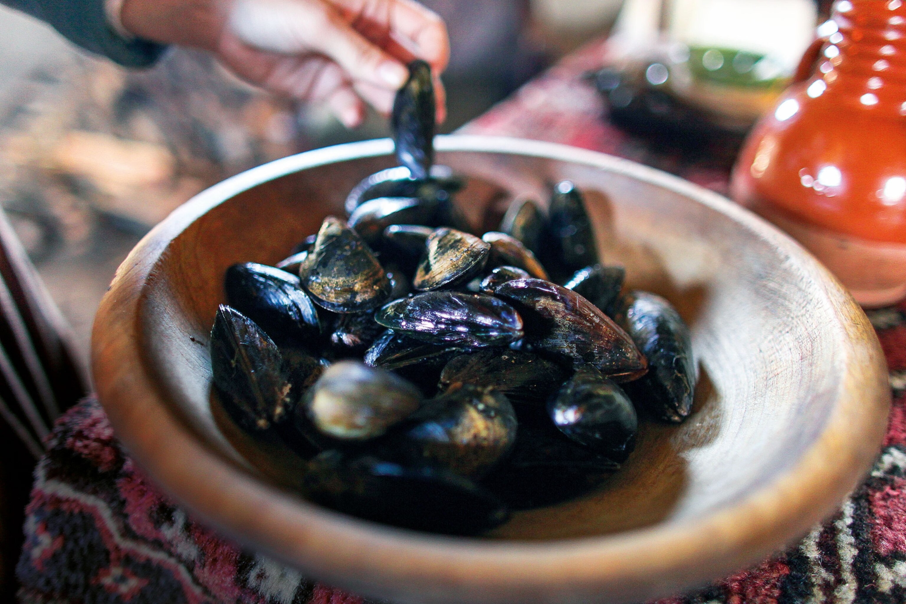 Massasoit and the strategic Wampanoag alliance with the Pilgrims