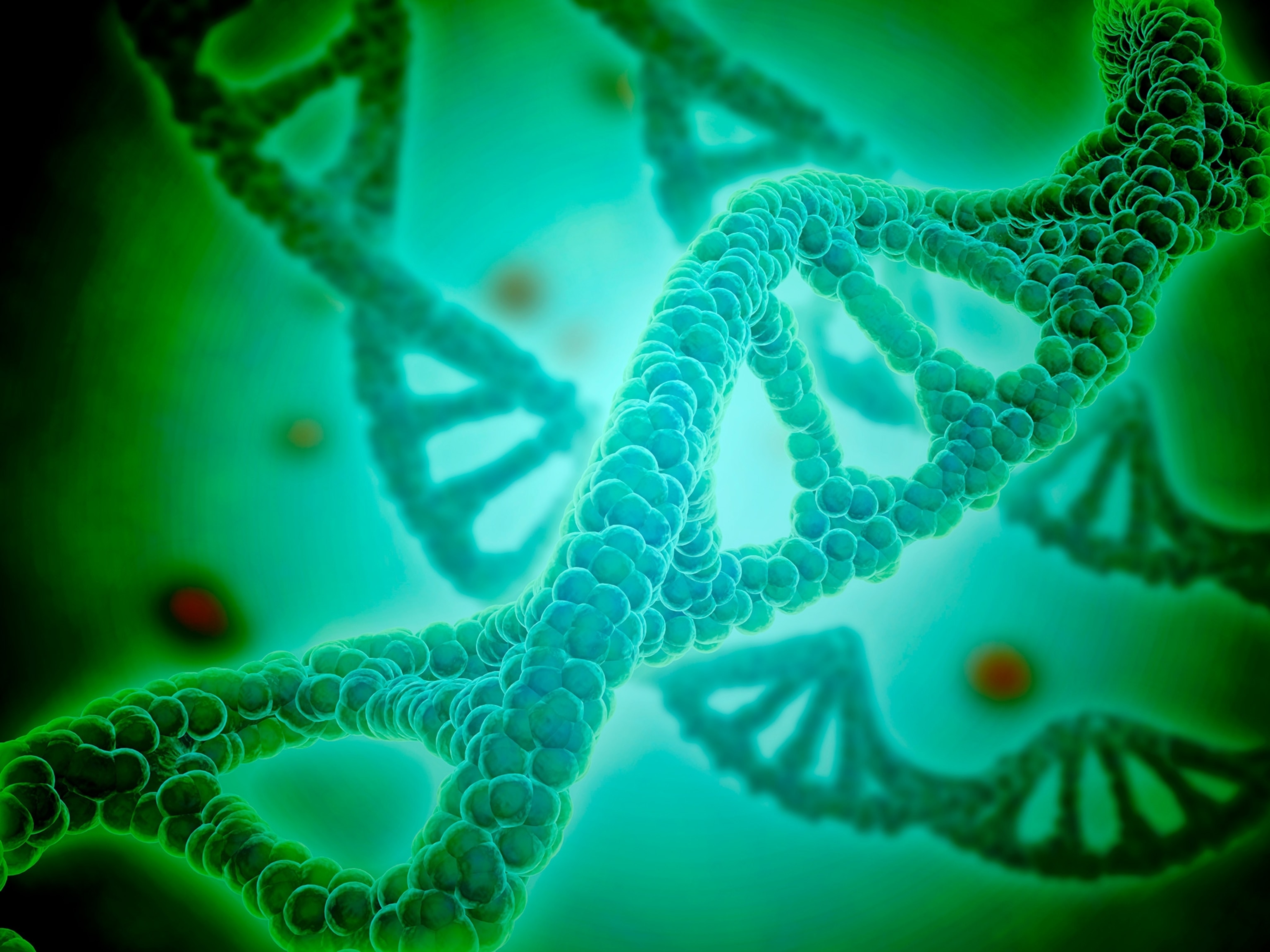 DNA facts and information
