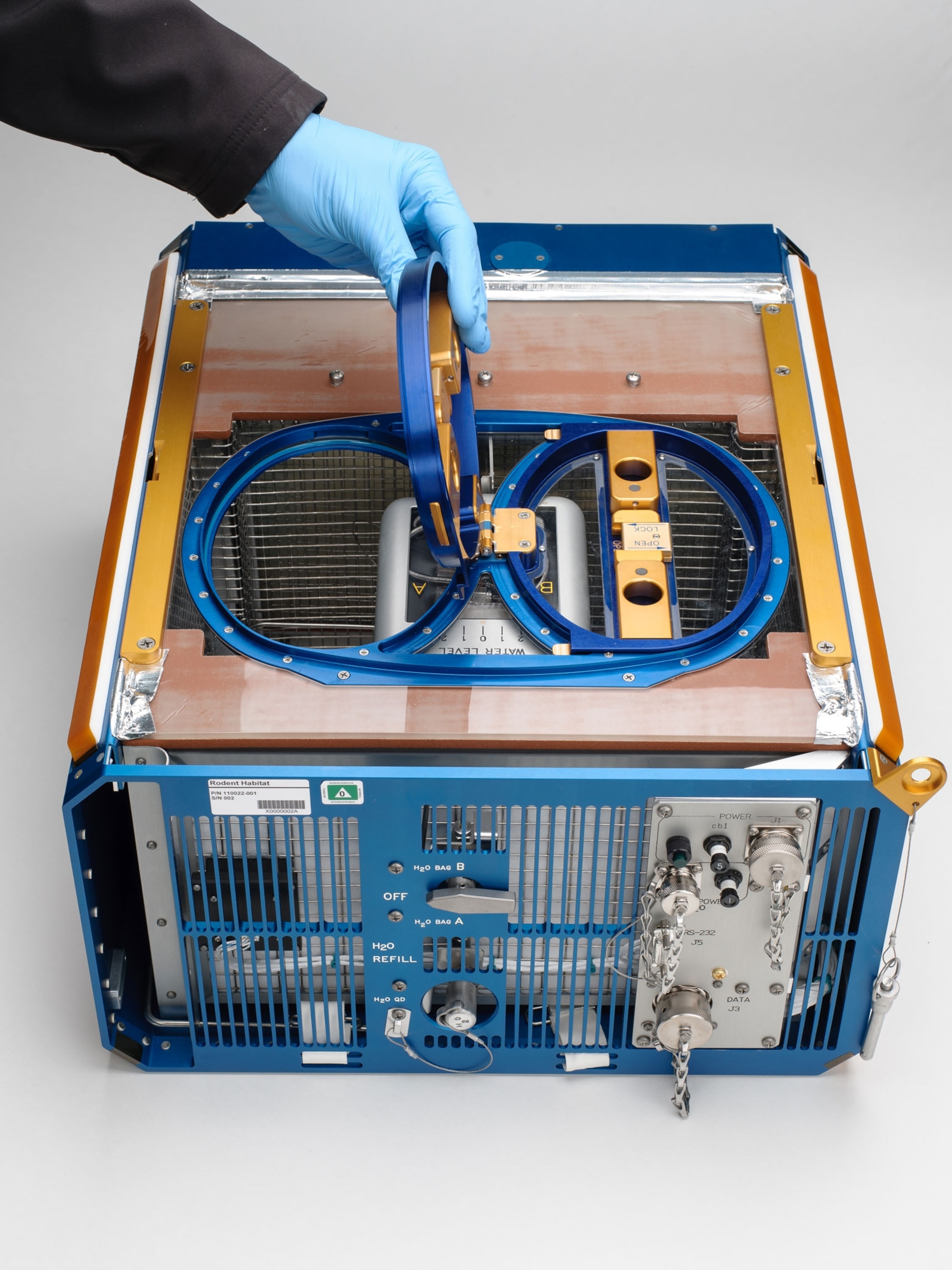 To study aging, scientists are looking to outer space