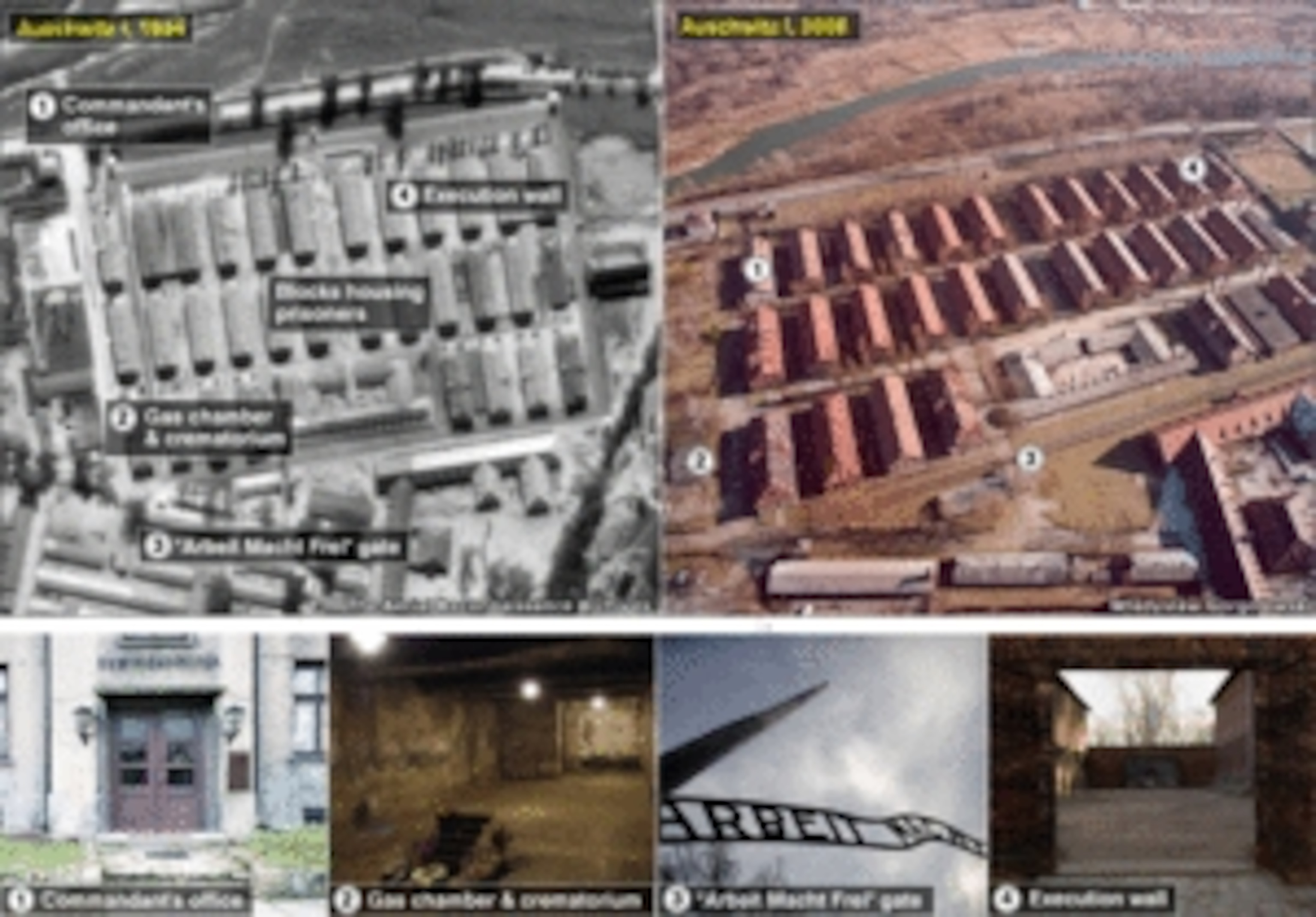 International Holocaust Remembrance Day