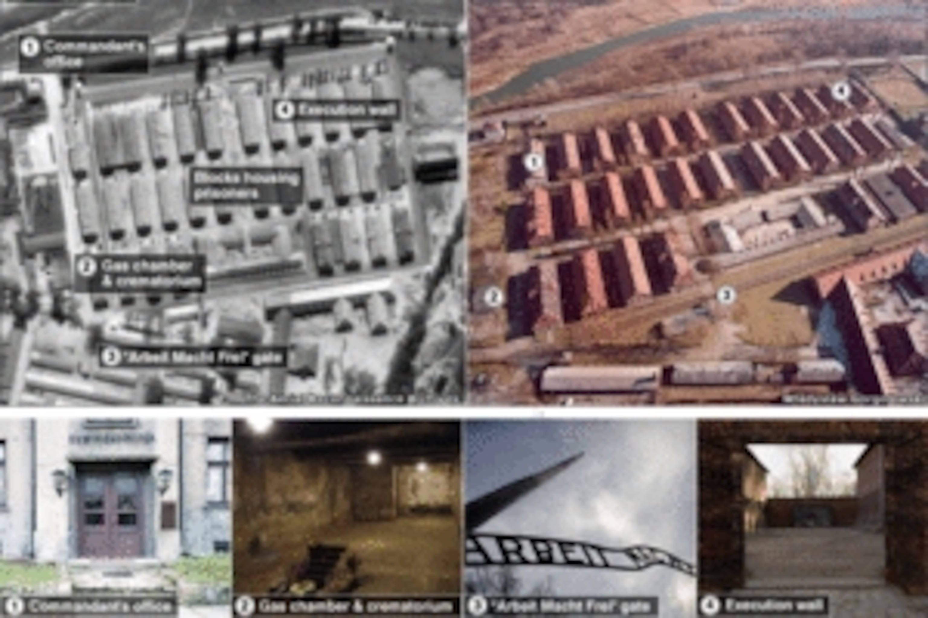 International Holocaust Remembrance Day