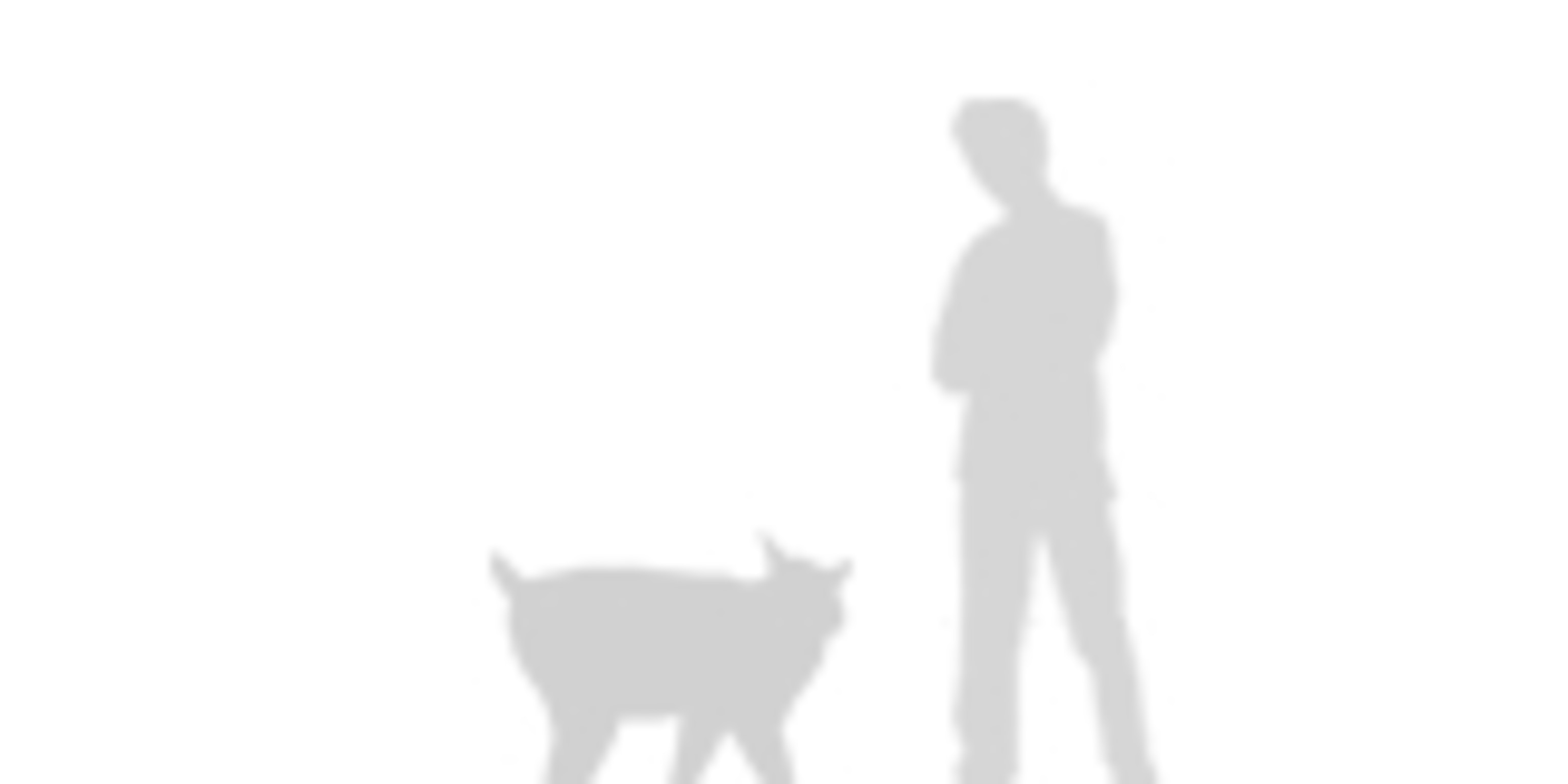Lynx Size Comparison