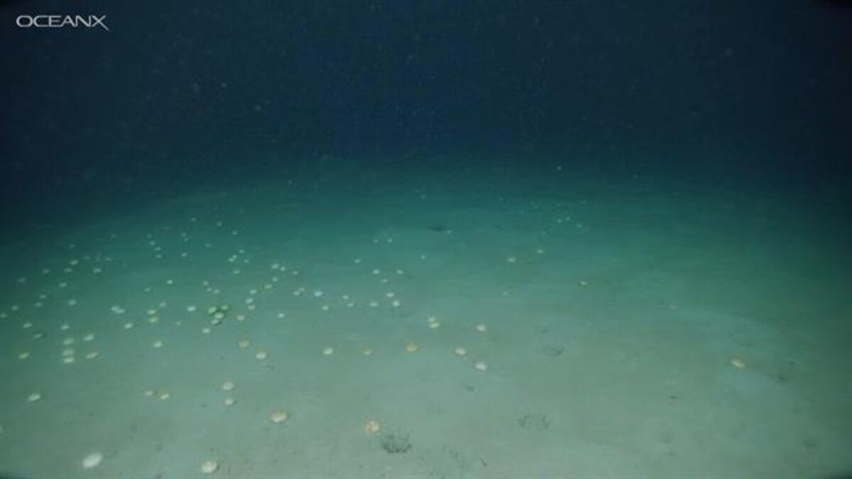 See inside a marine science laboratory unlike any other: the OceanXplorer