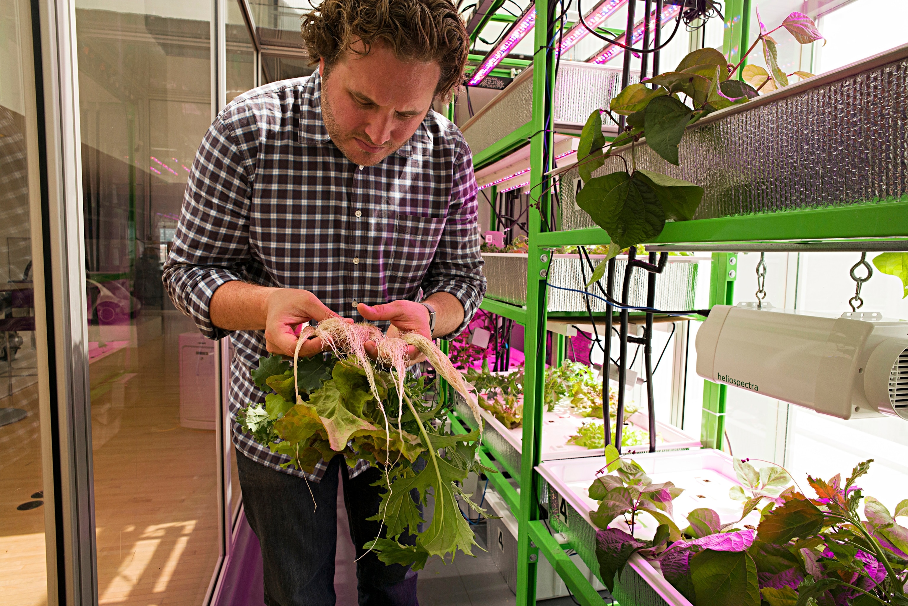 Farming's Next Wave: The Rise of Programmable Produce | National Geographic