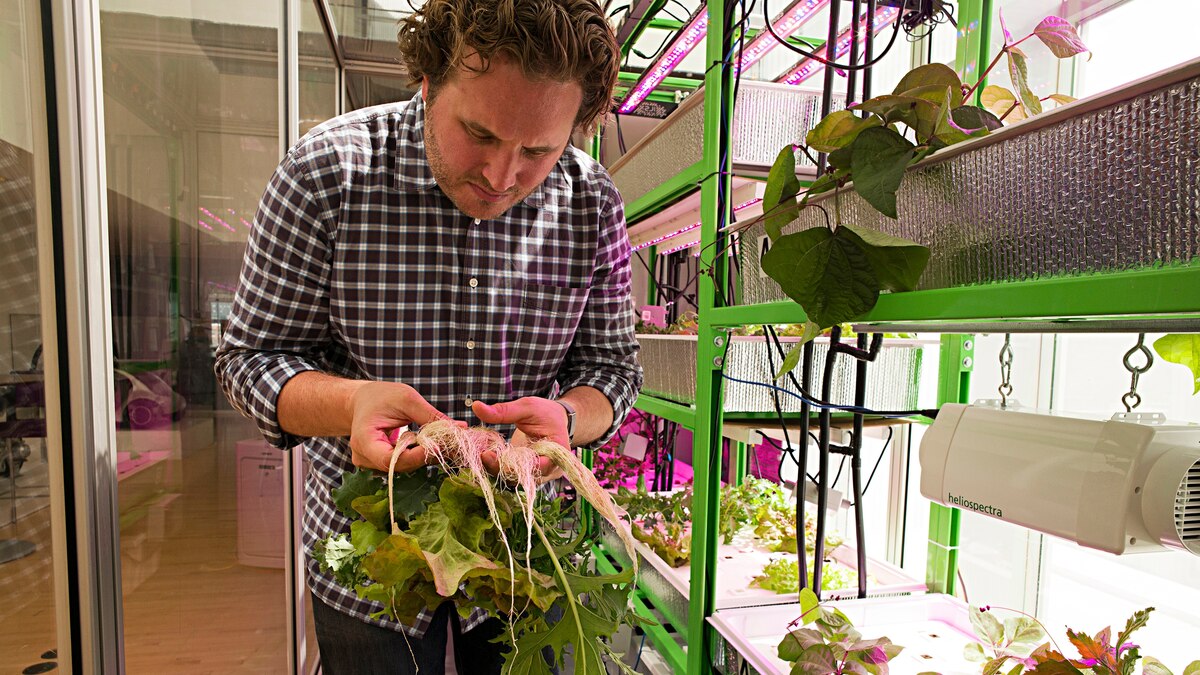 Farming's Next Wave: The Rise of Programmable Produce | National Geographic