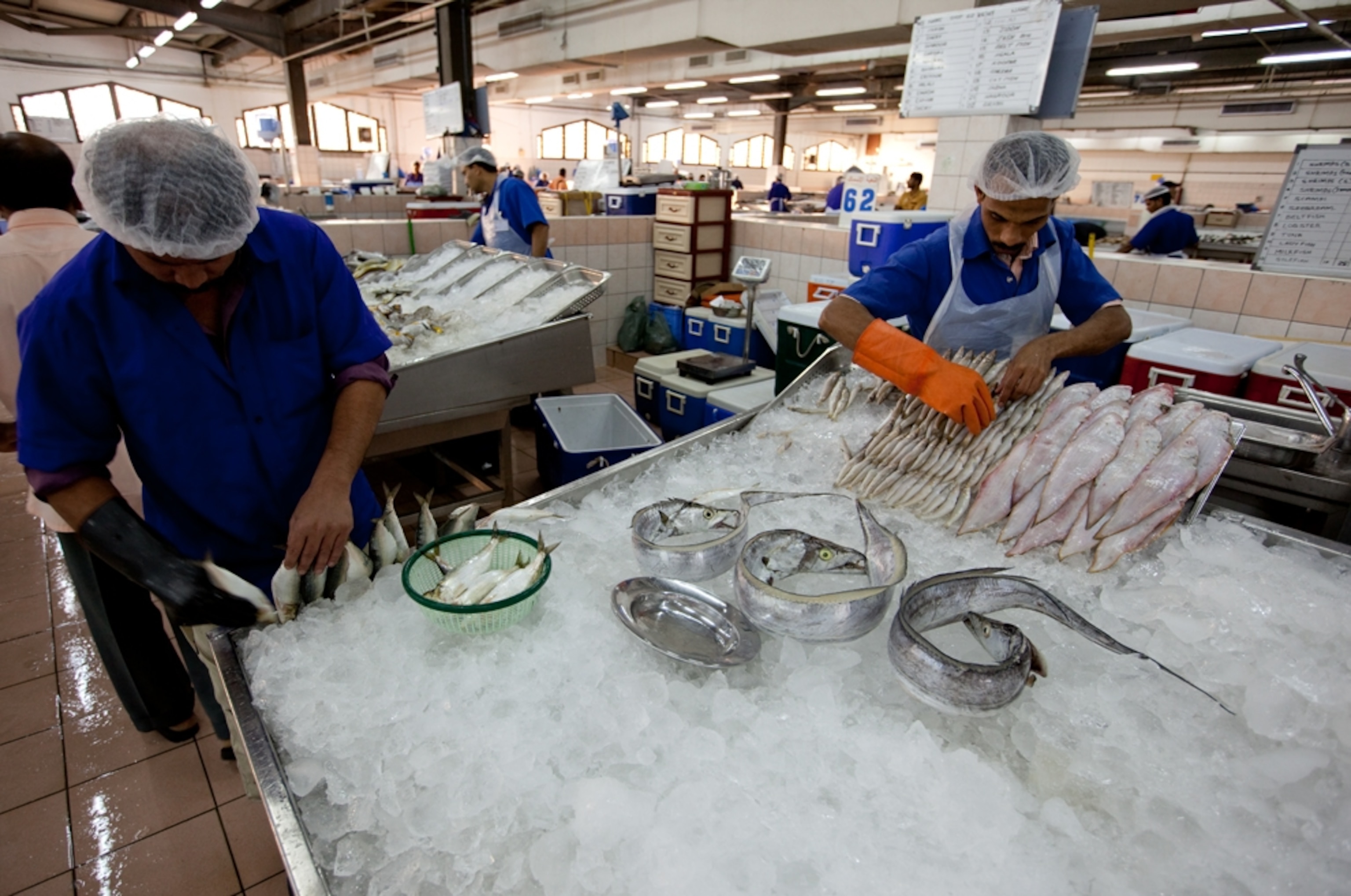 Abu Dhabi Fish Market Photos -- National Geographic | National Geographic