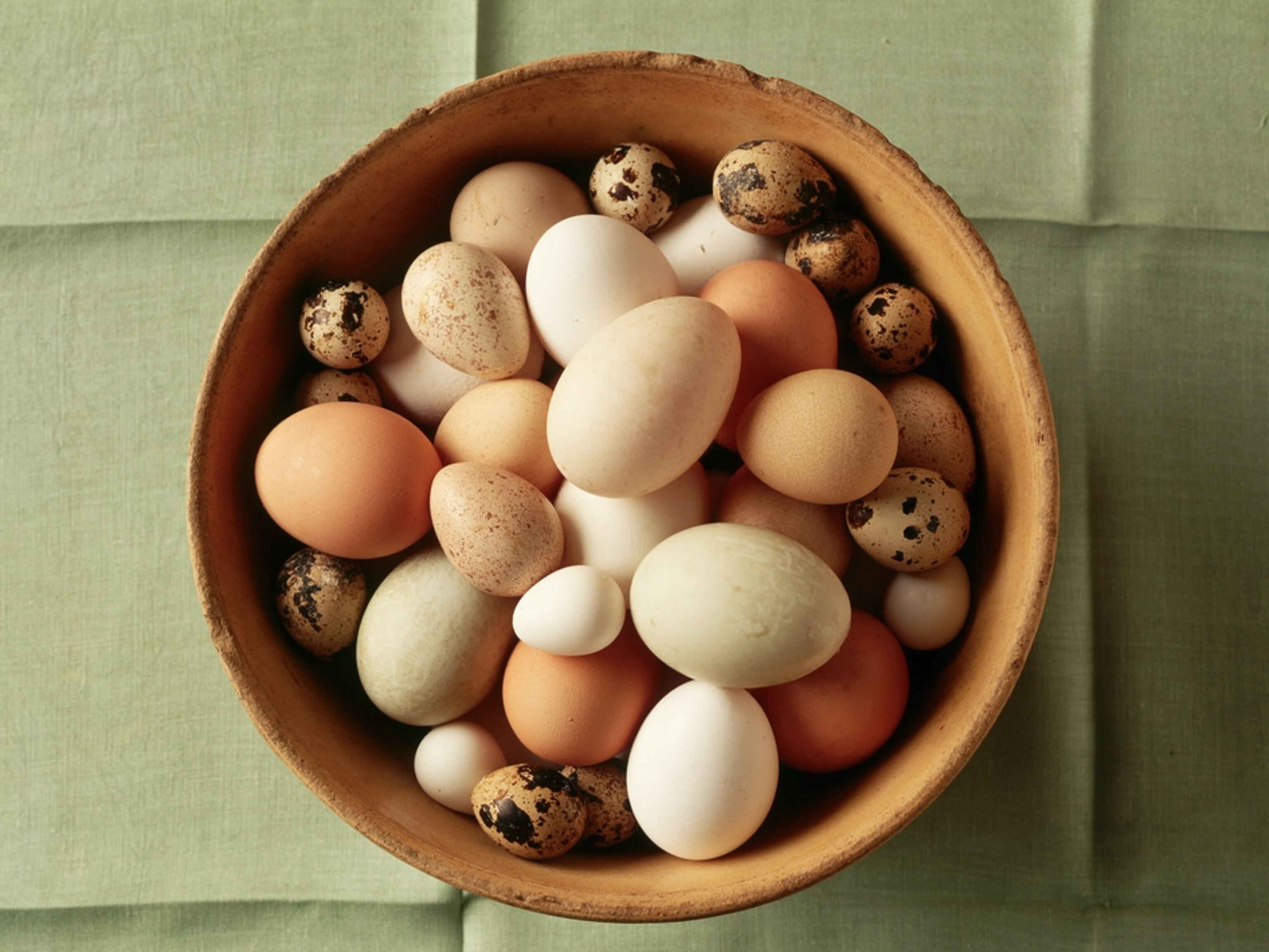 Weird Animal Question of the Week: Oddest Eggs of the Animal Kingdom
