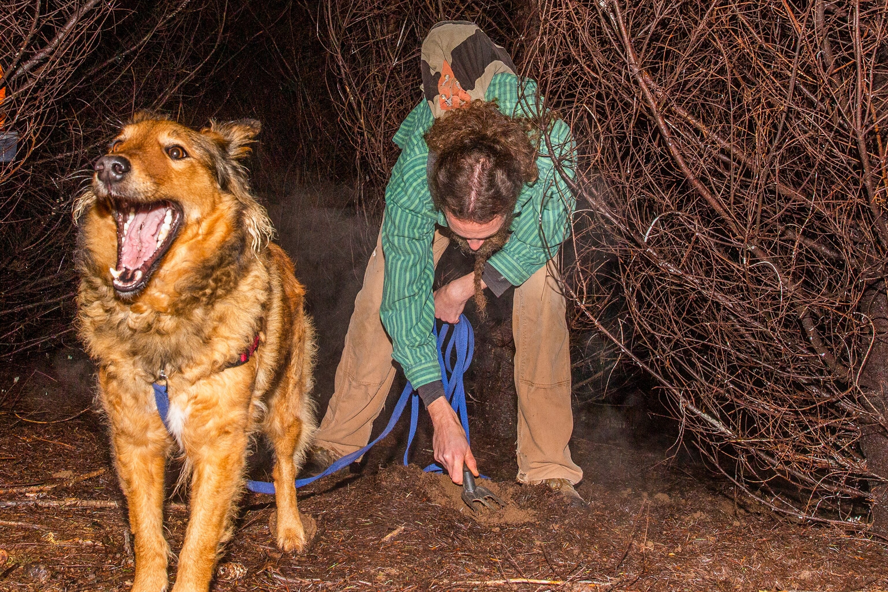 Photos from behind the scenes of Oregon's truffle dog competition