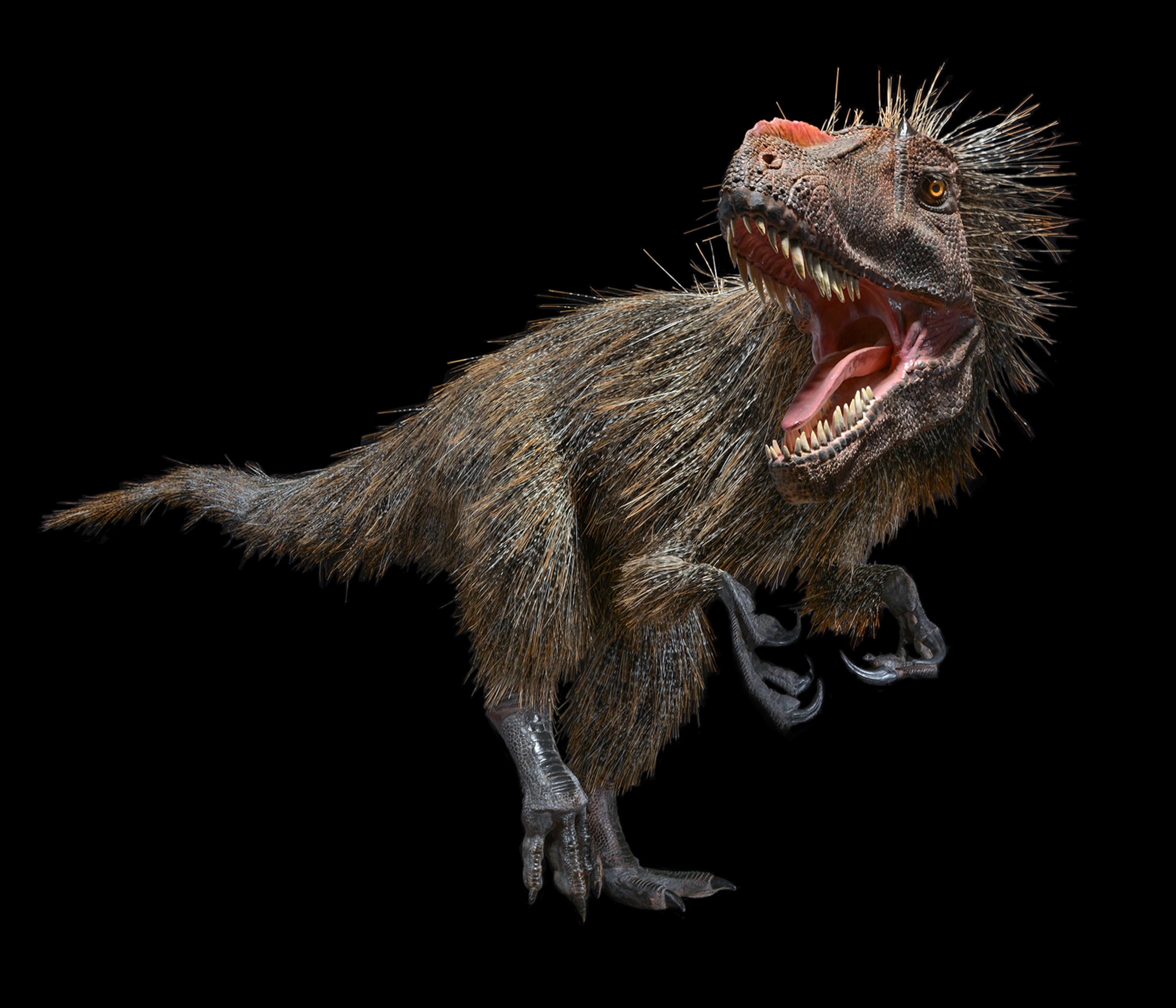 Finally, You Can See Dinosaurs in All Their Feathered Glory | National ...